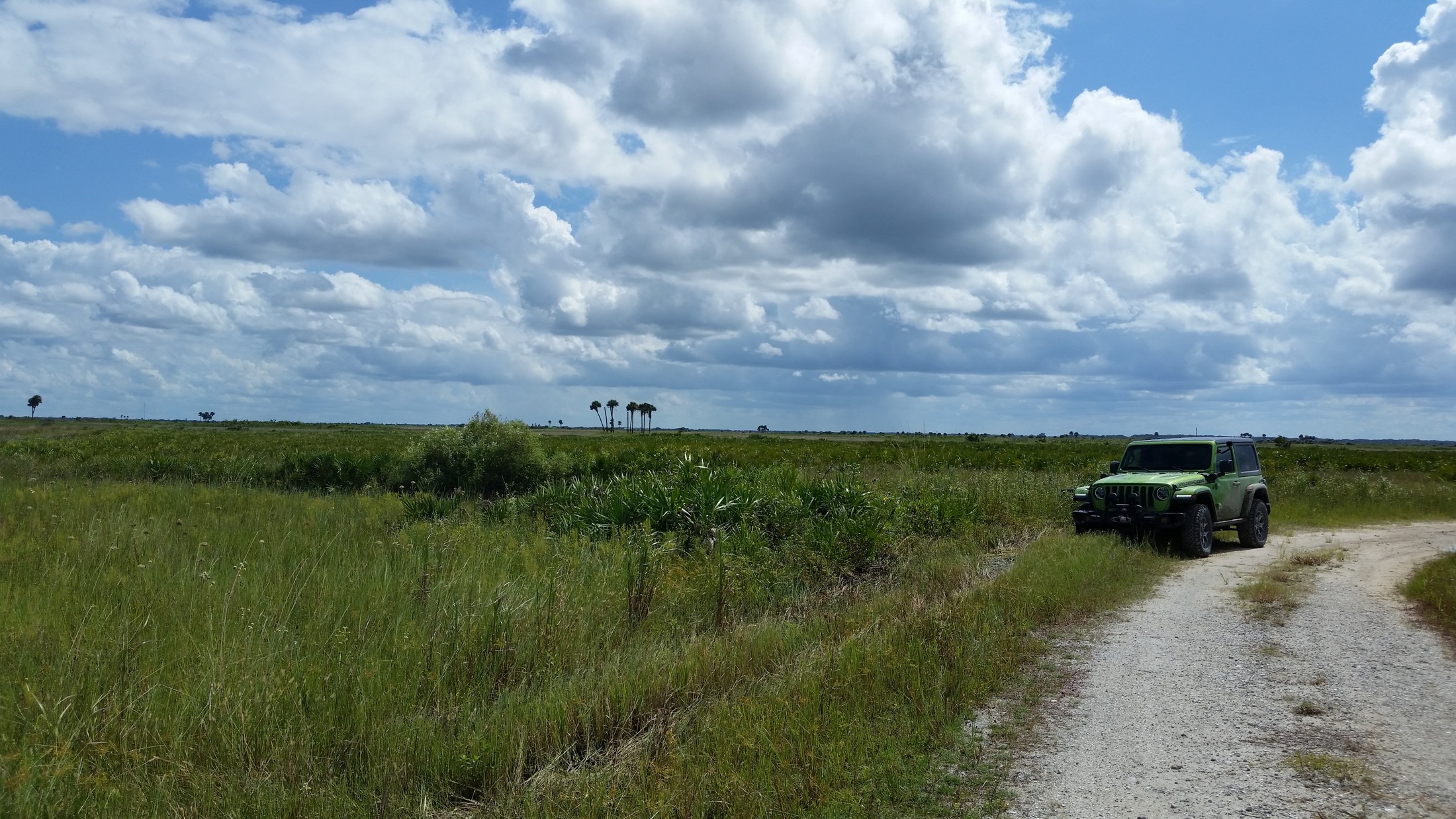Three Lakes - Trail 8 and 9, Florida | GPS Map, Photos & Reviews