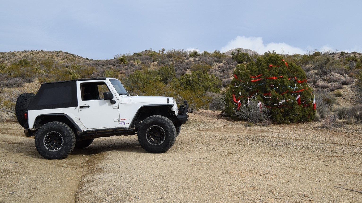 Christmas Tree Pass, Nevada | GPS Map, Photos & Reviews