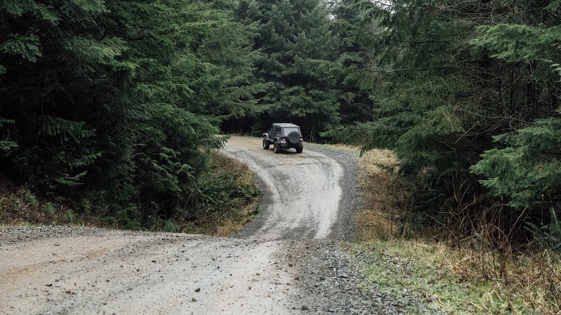 Walker Valley / BR-16, Washington | Offroad Trail Guide & Map