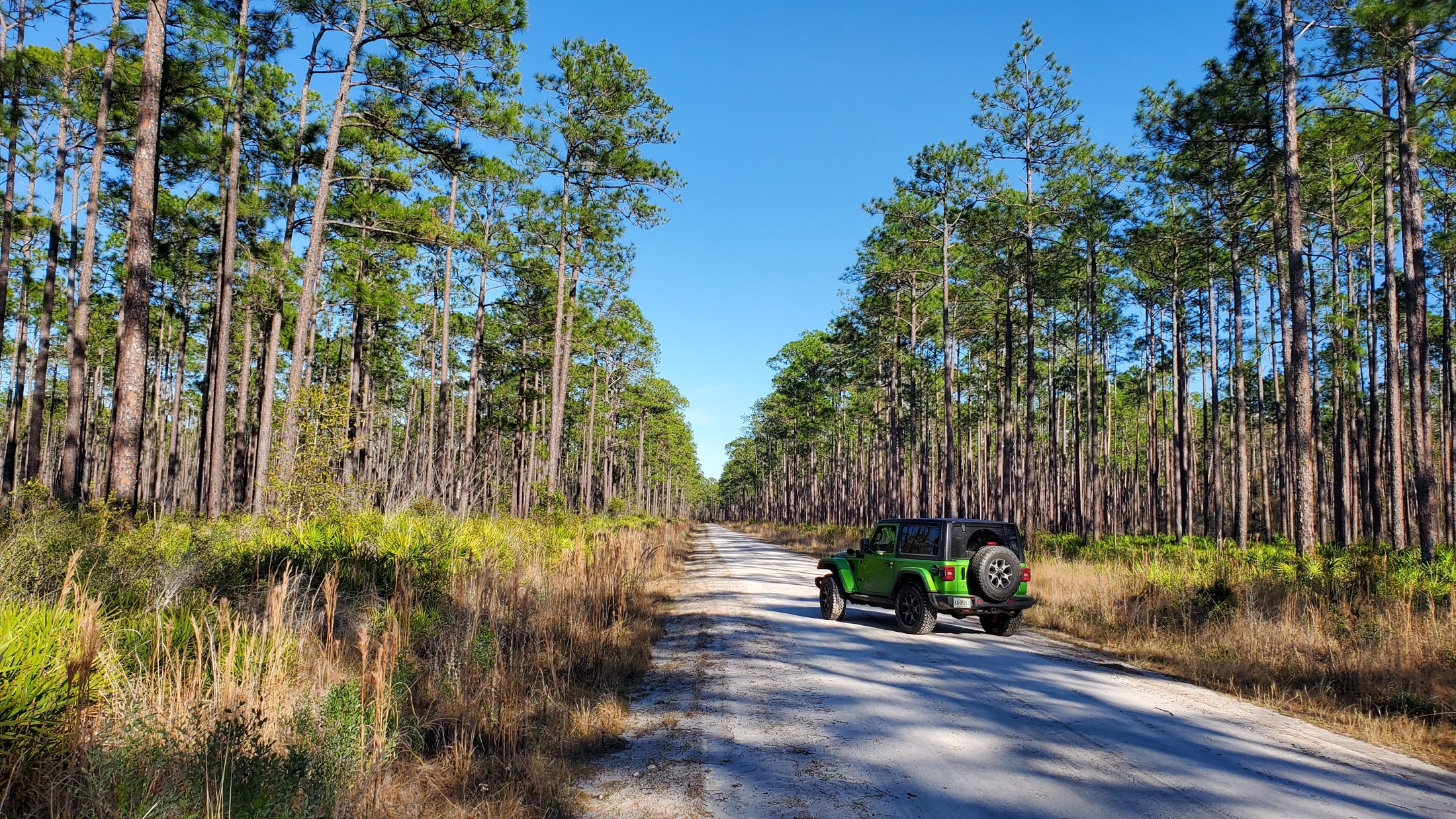 Osceola - FR202, Florida | GPS Map, Photos & Reviews