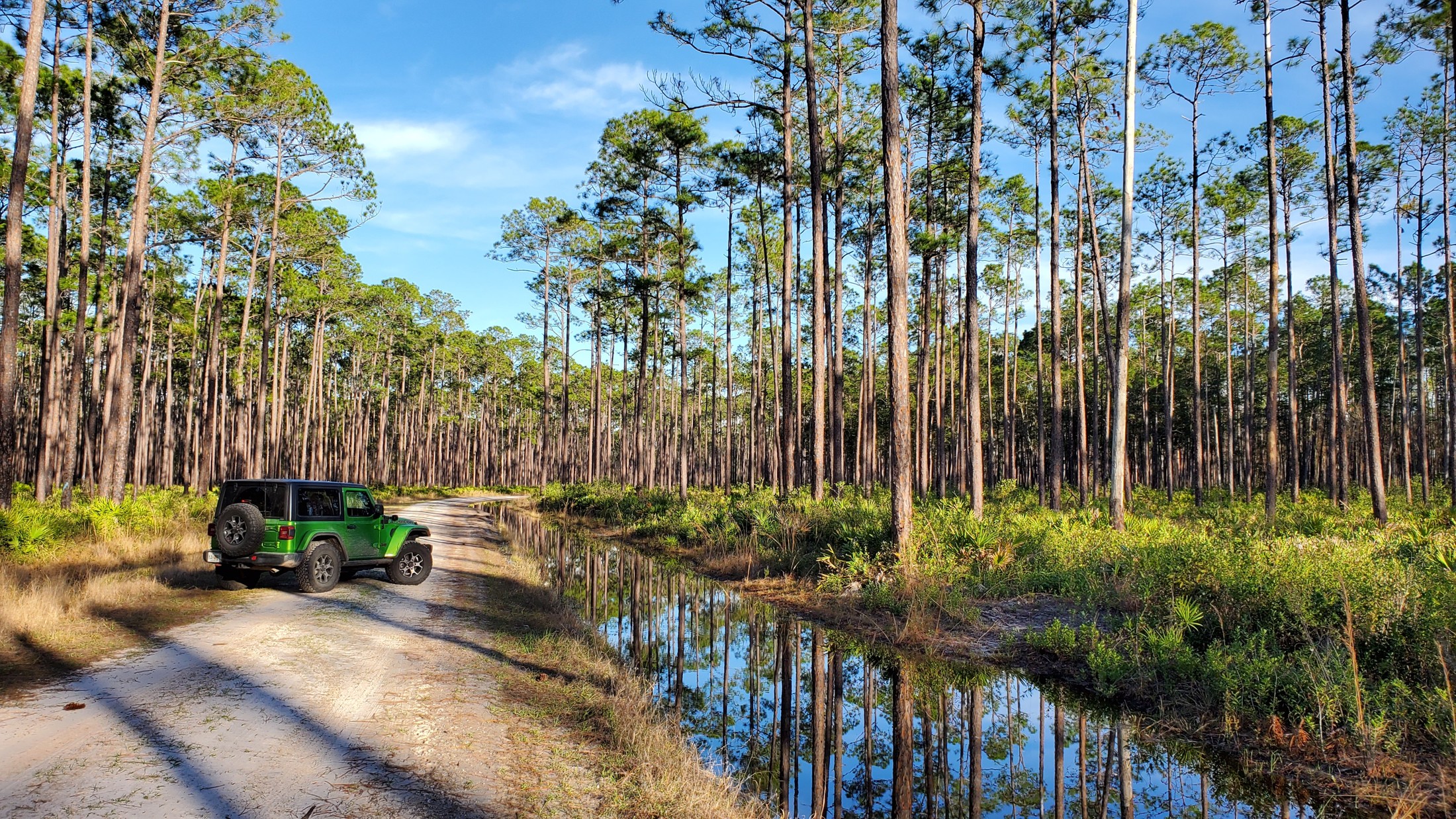 Osceola - FR276, Florida | GPS Map, Photos & Reviews