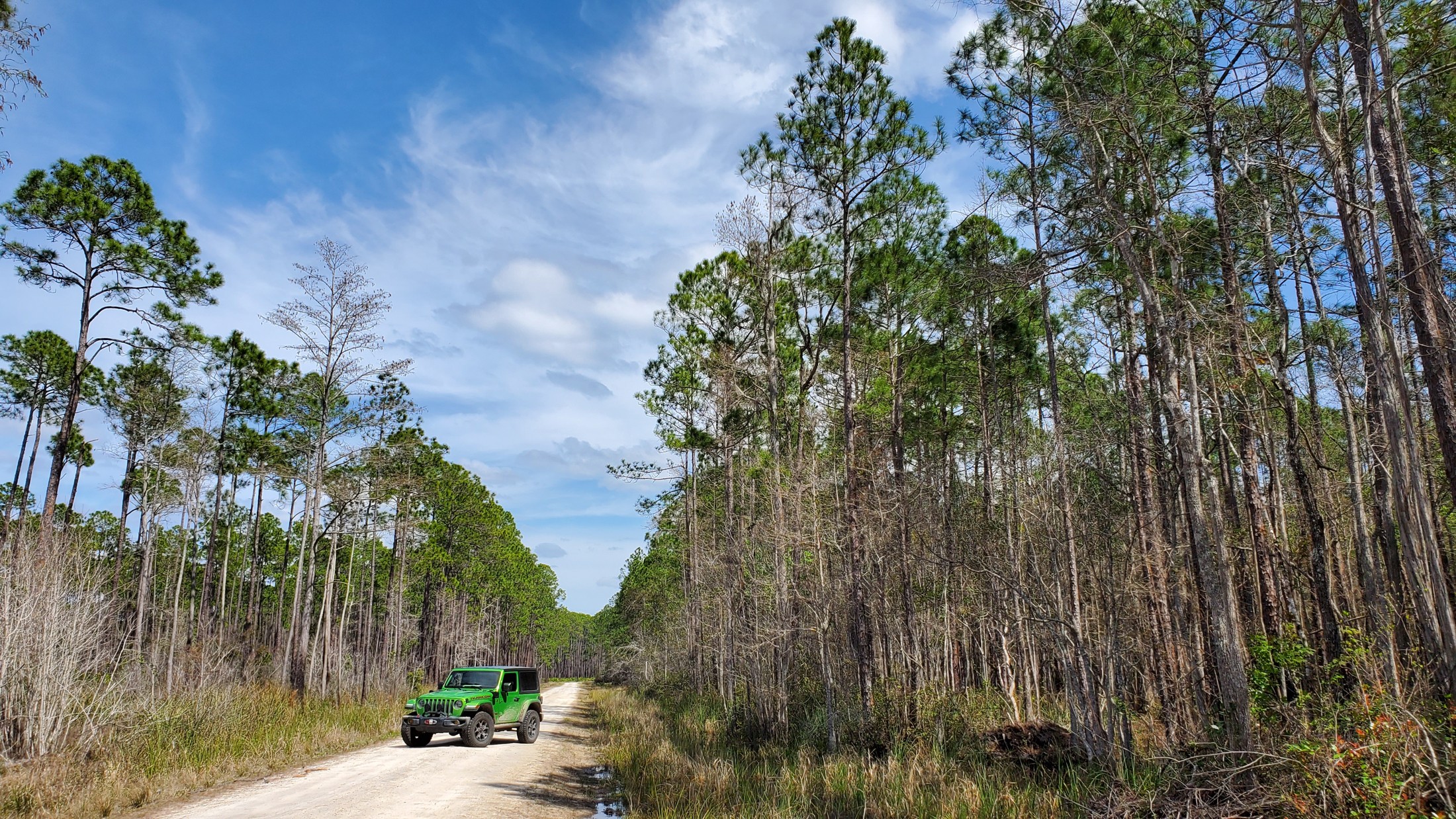Osceola - FR277, Florida | GPS Map, Photos & Reviews