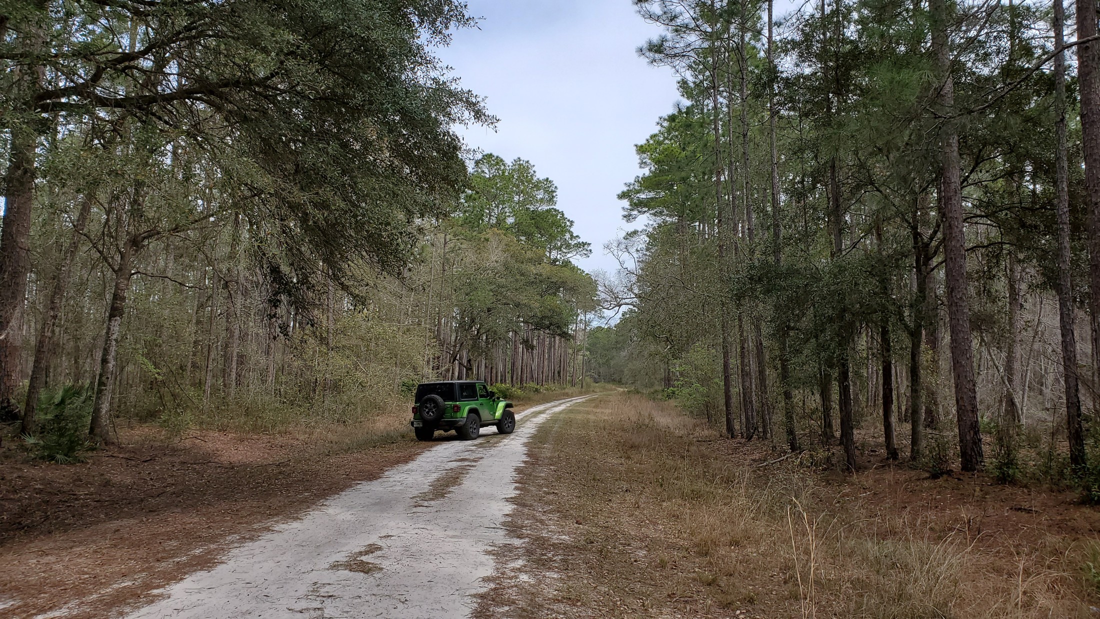 Osceola - FR286, Florida | GPS Map, Photos & Reviews