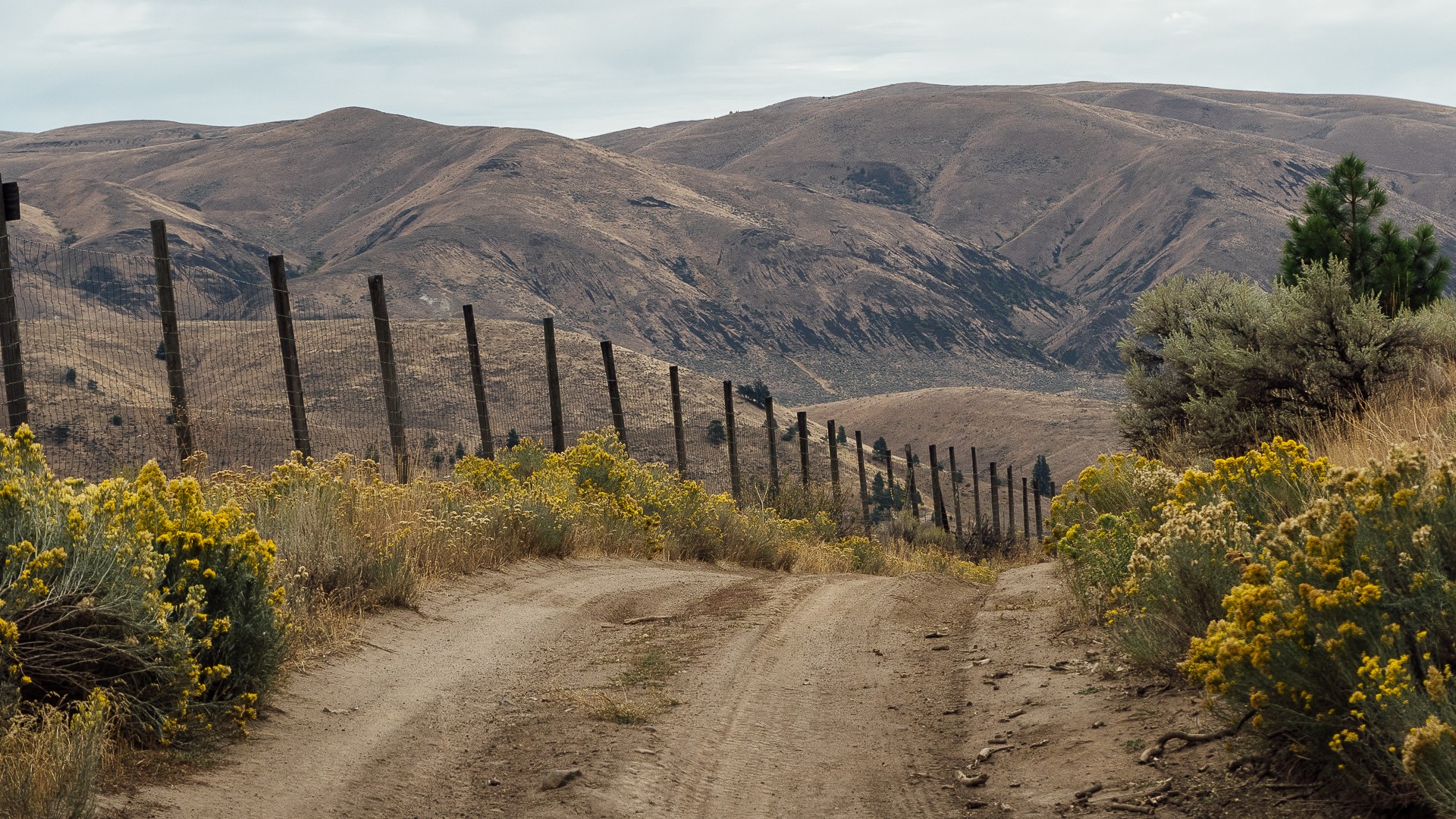Jones Road, Washington | GPS Map, Photos & Reviews