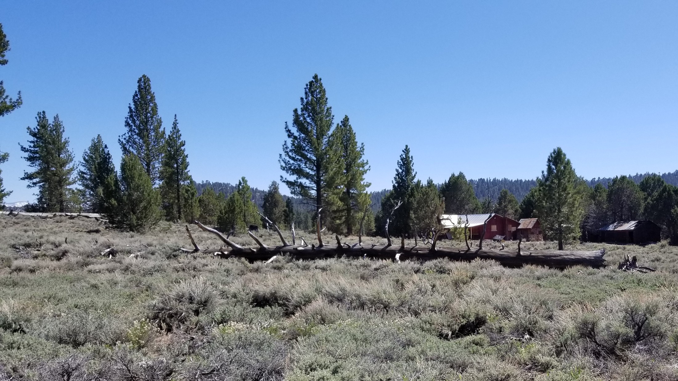 Holcomb Valley Farm and Camping Area, California | GPS Map, Photos ...