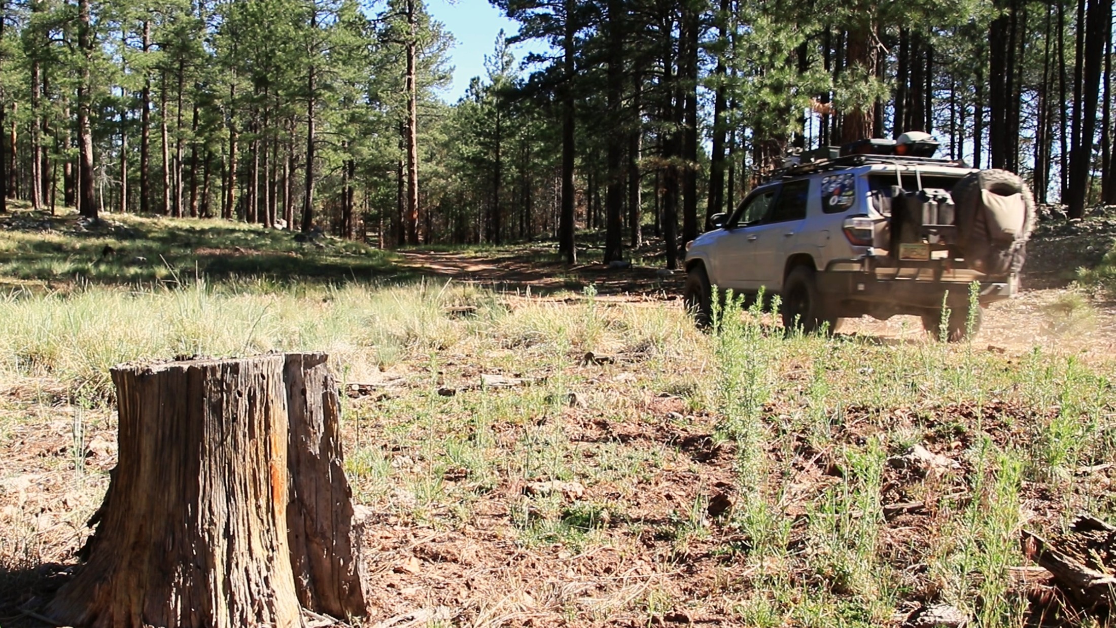 Telephone Ridge, Arizona | GPS Map, Photos & Reviews