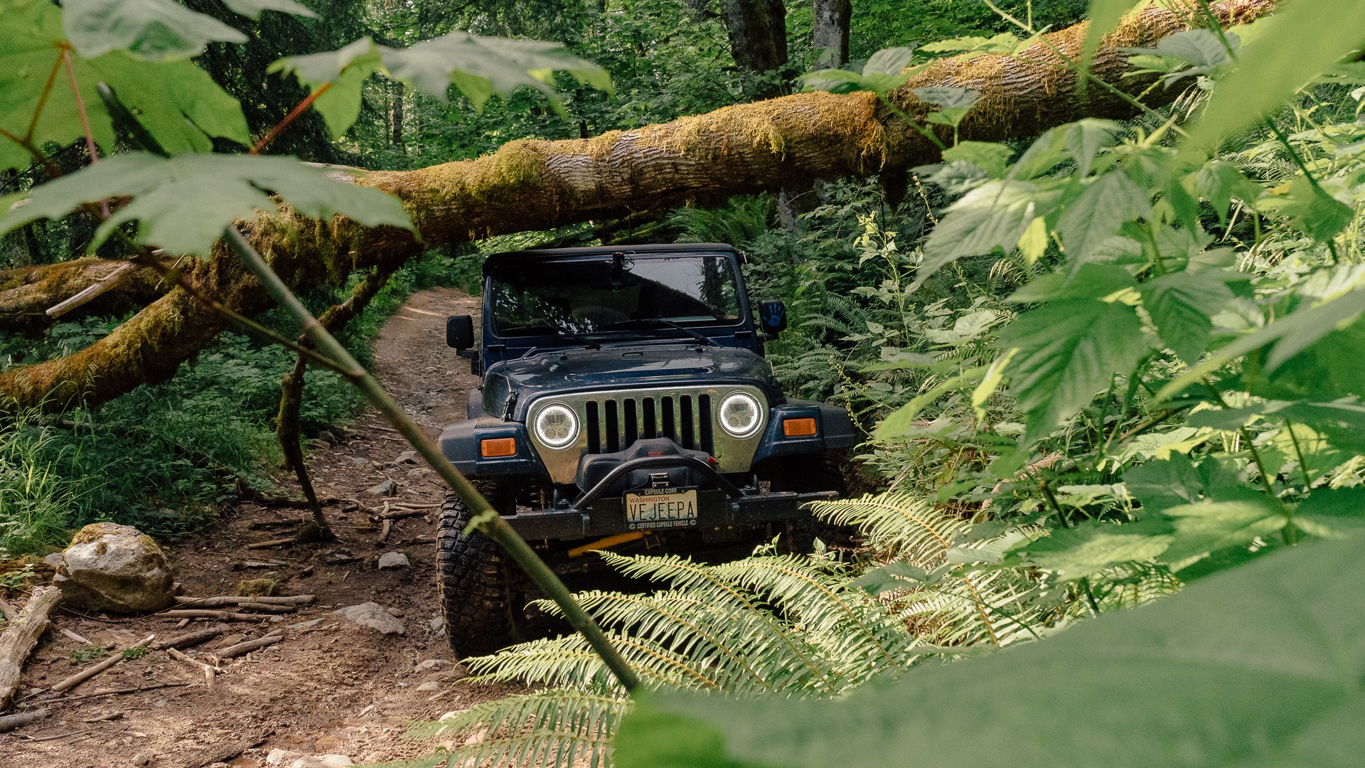 Walker Valley / Upper Mainline, Washington | GPS Map, Photos & Reviews