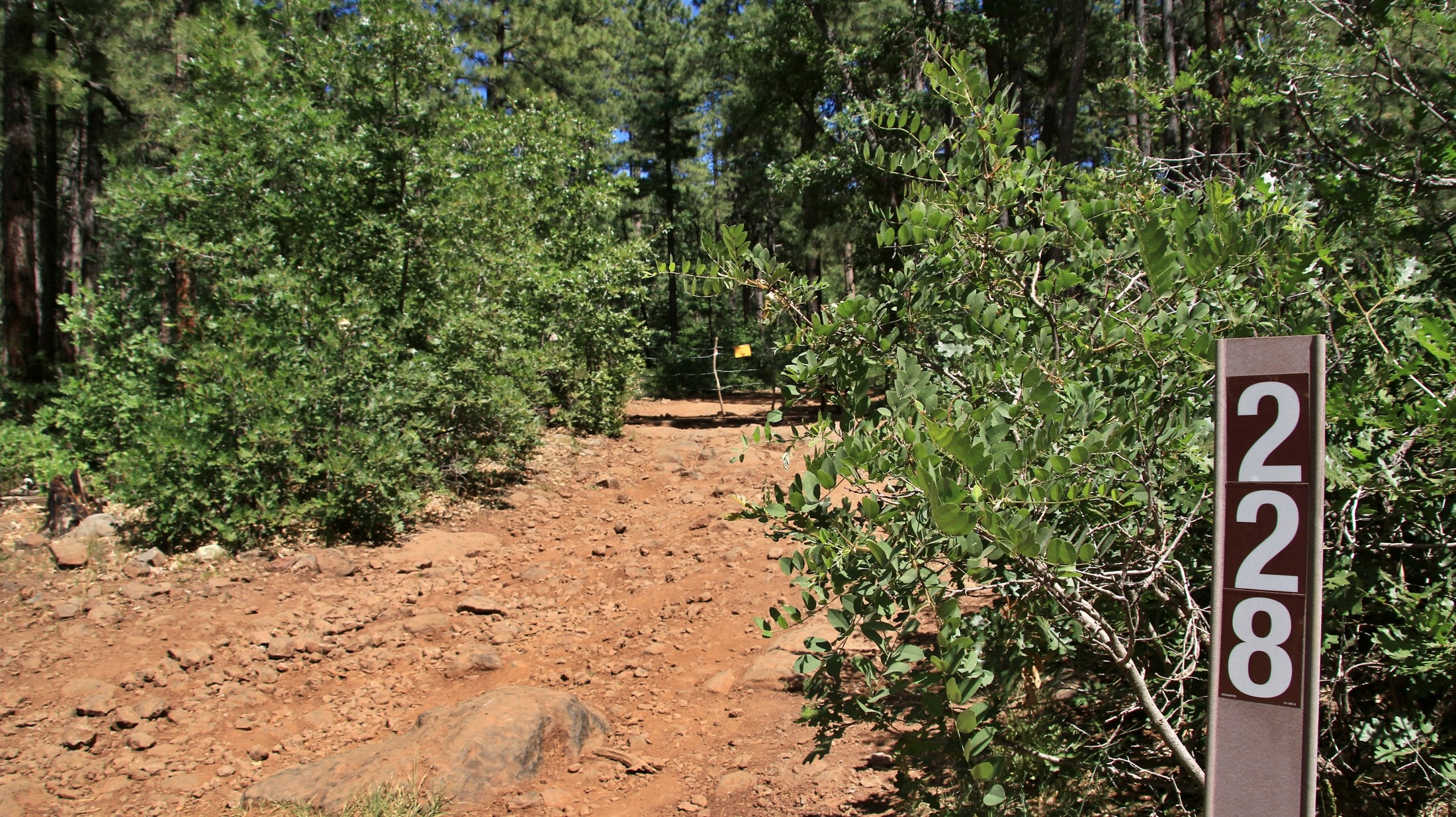 FR 228, Arizona | Offroad Trail Guide & Map