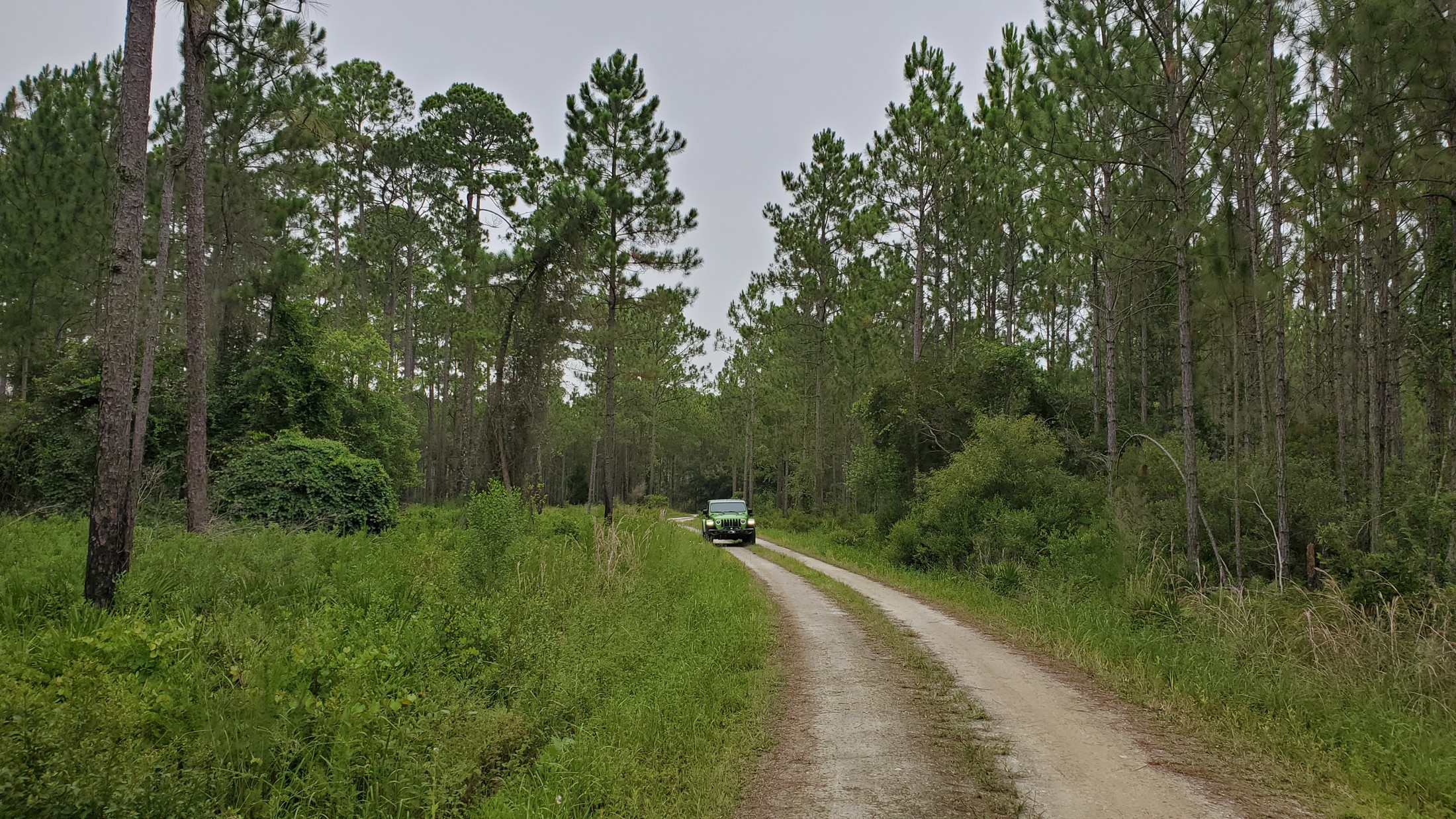 Goethe - Apex Road, Florida | Offroad Trail Guide & Map