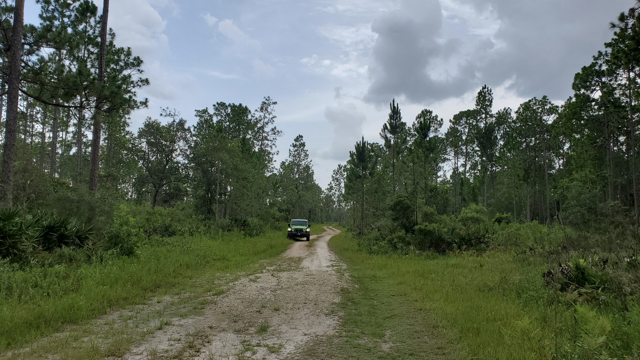 Goethe - Hospital Road, Florida | Offroad Trail Guide & Map