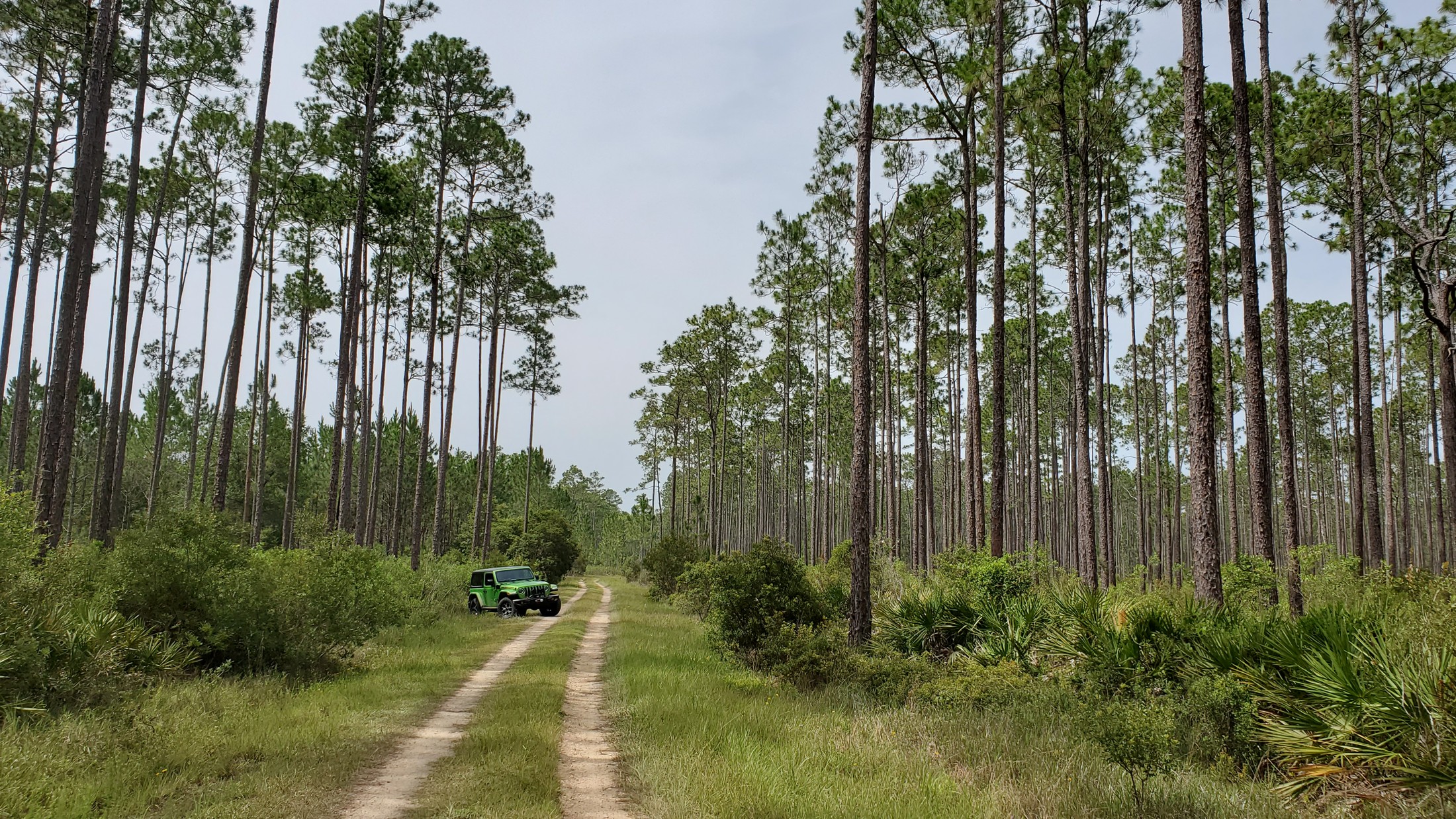 Goethe - Middle Road, Florida | GPS Map, Photos & Reviews