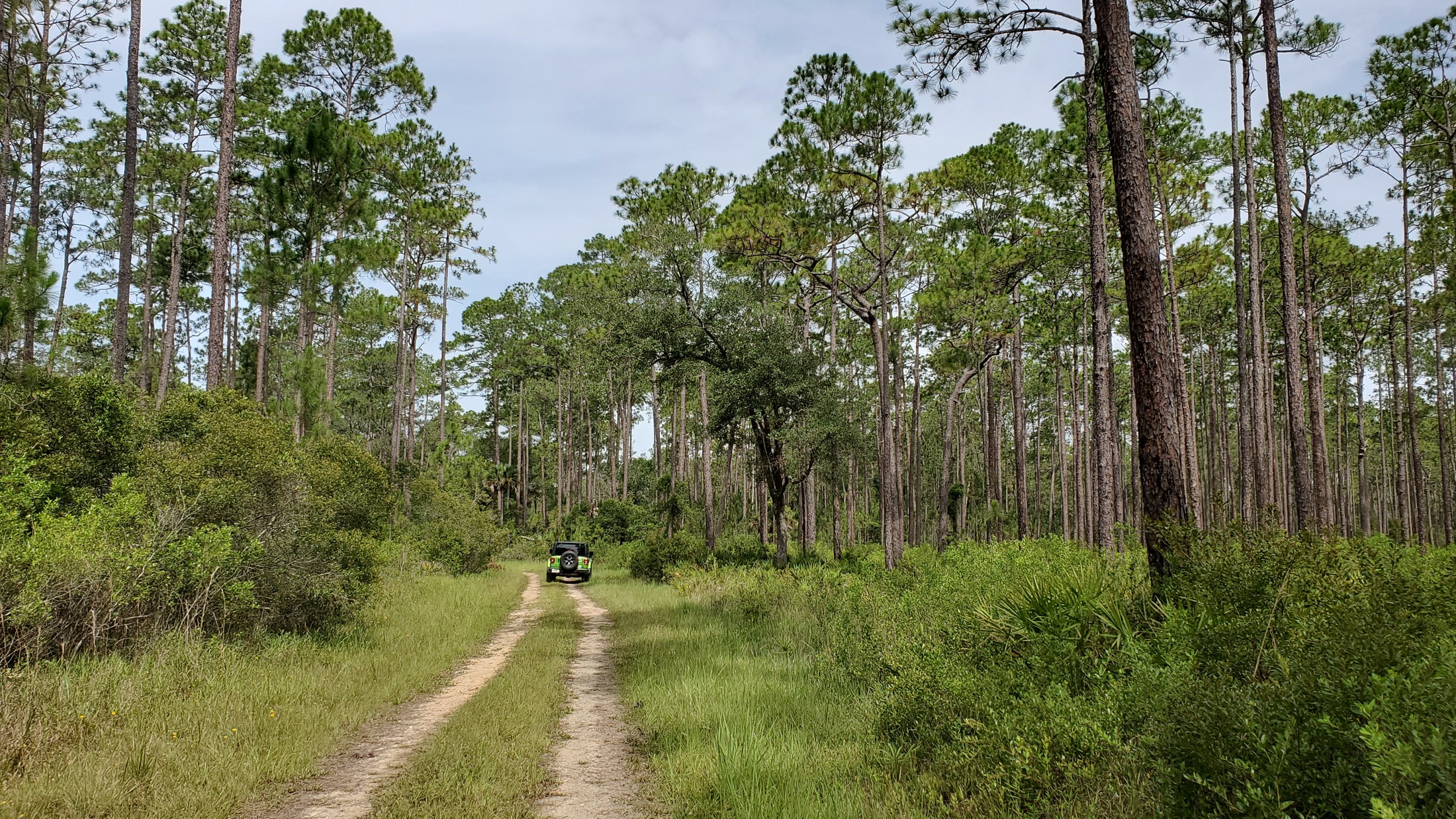 Goethe - North Prong Road, Florida | GPS Map, Photos & Reviews