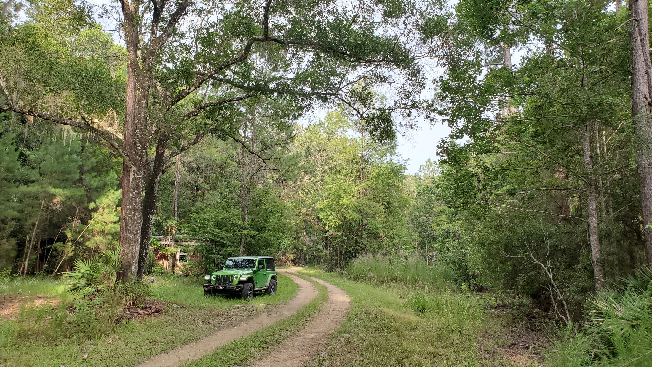 Goethe - Red Lodge Road, Florida | GPS Map, Photos & Reviews