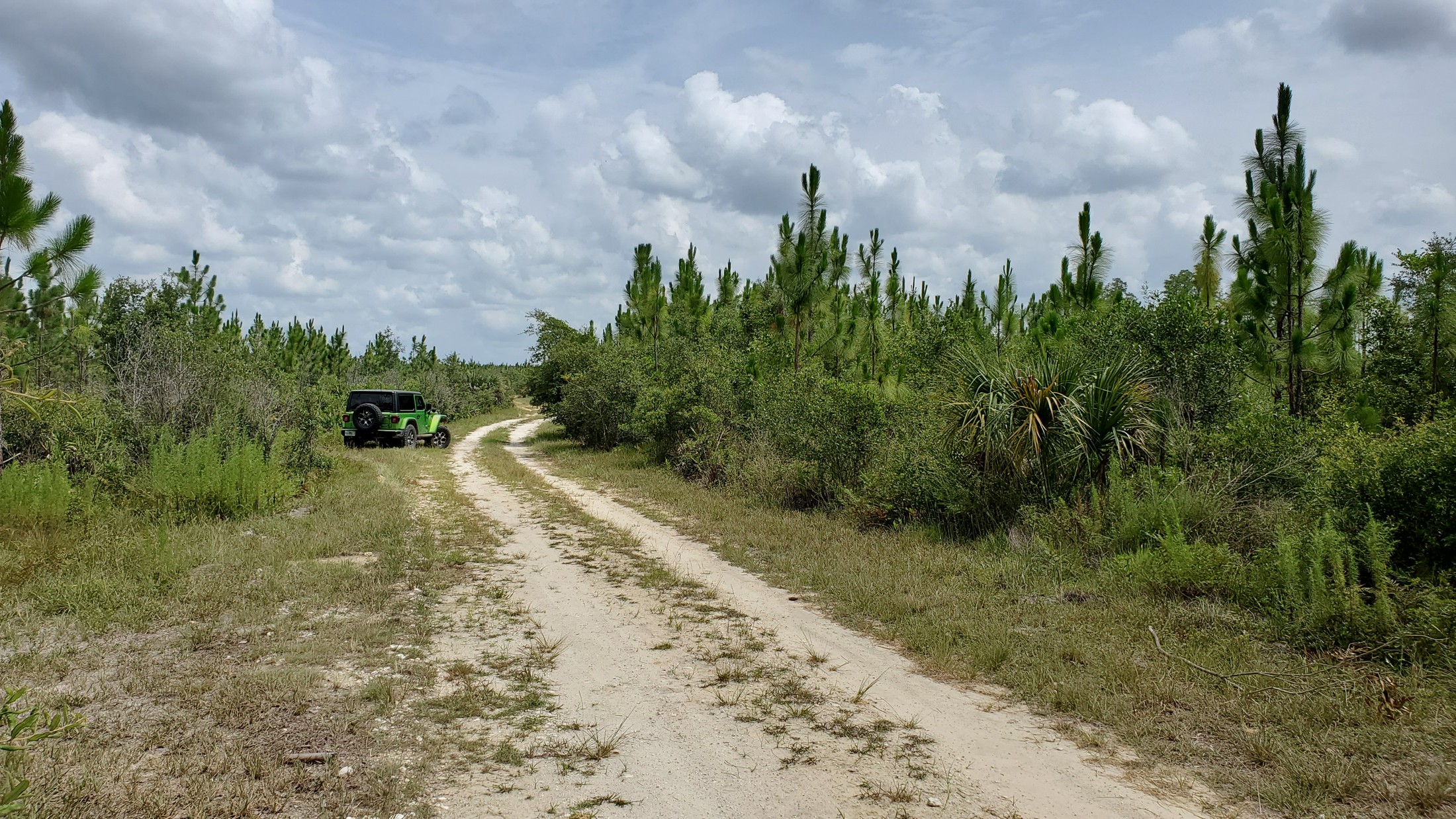 Goethe - Sand Ridge Road, Florida | Offroad Trail Guide & Map