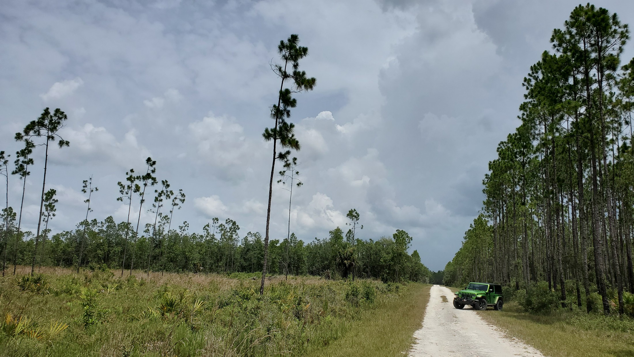 Goethe - Wolf Arbor Road, Florida | GPS Map, Photos & Reviews