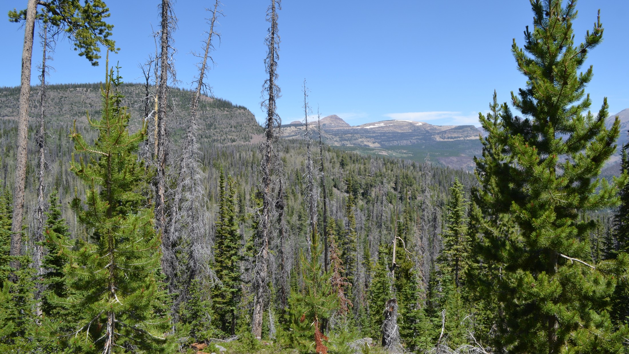 Cobble Creek, Utah | GPS Map, Photos & Reviews