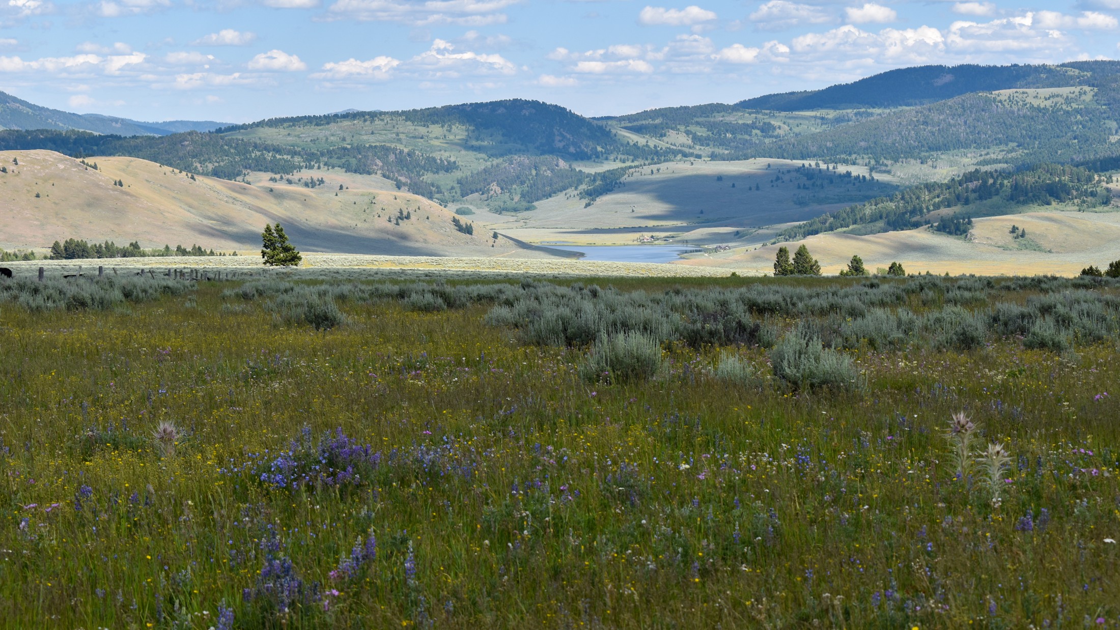 Conklin Lake, Montana | GPS Map, Photos & Reviews