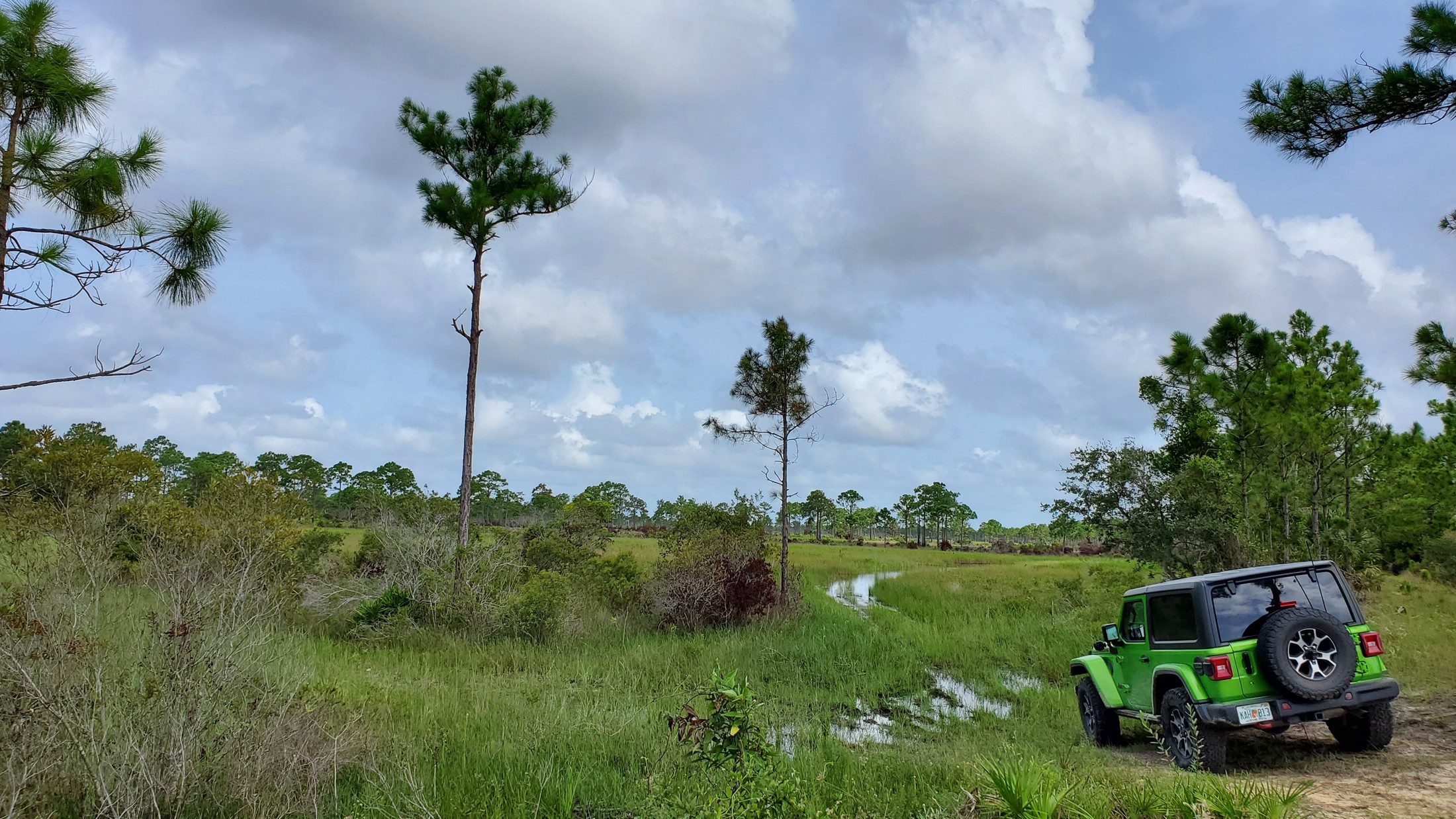 Babcock Webb - Seaboard Grade, Florida | Offroad Trail Guide & Map