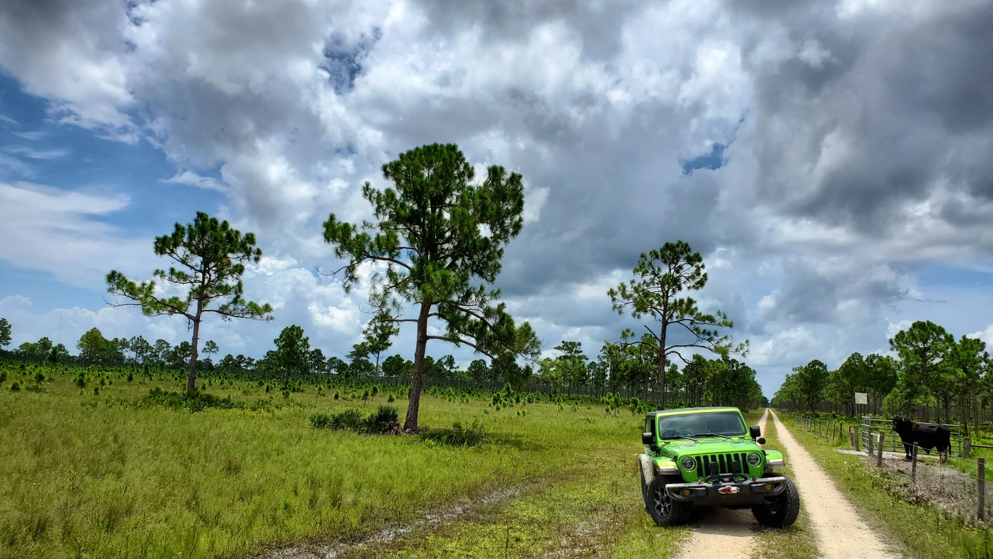 Babcock Webb - Road 5 - Florida Offroad Trail