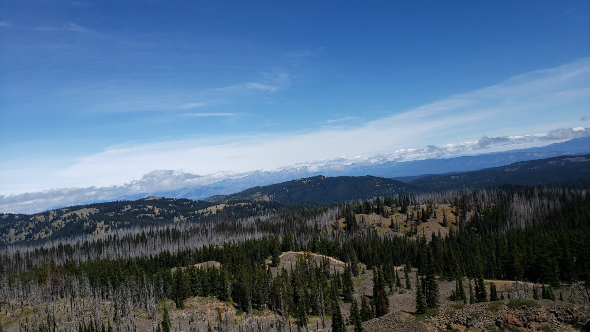 Summit Springs Tie, Washington | GPS Map, Photos & Reviews