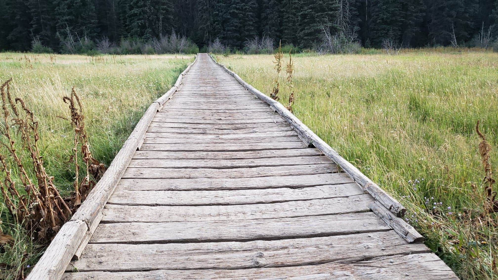 Divide, Washington | GPS Map, Photos & Reviews