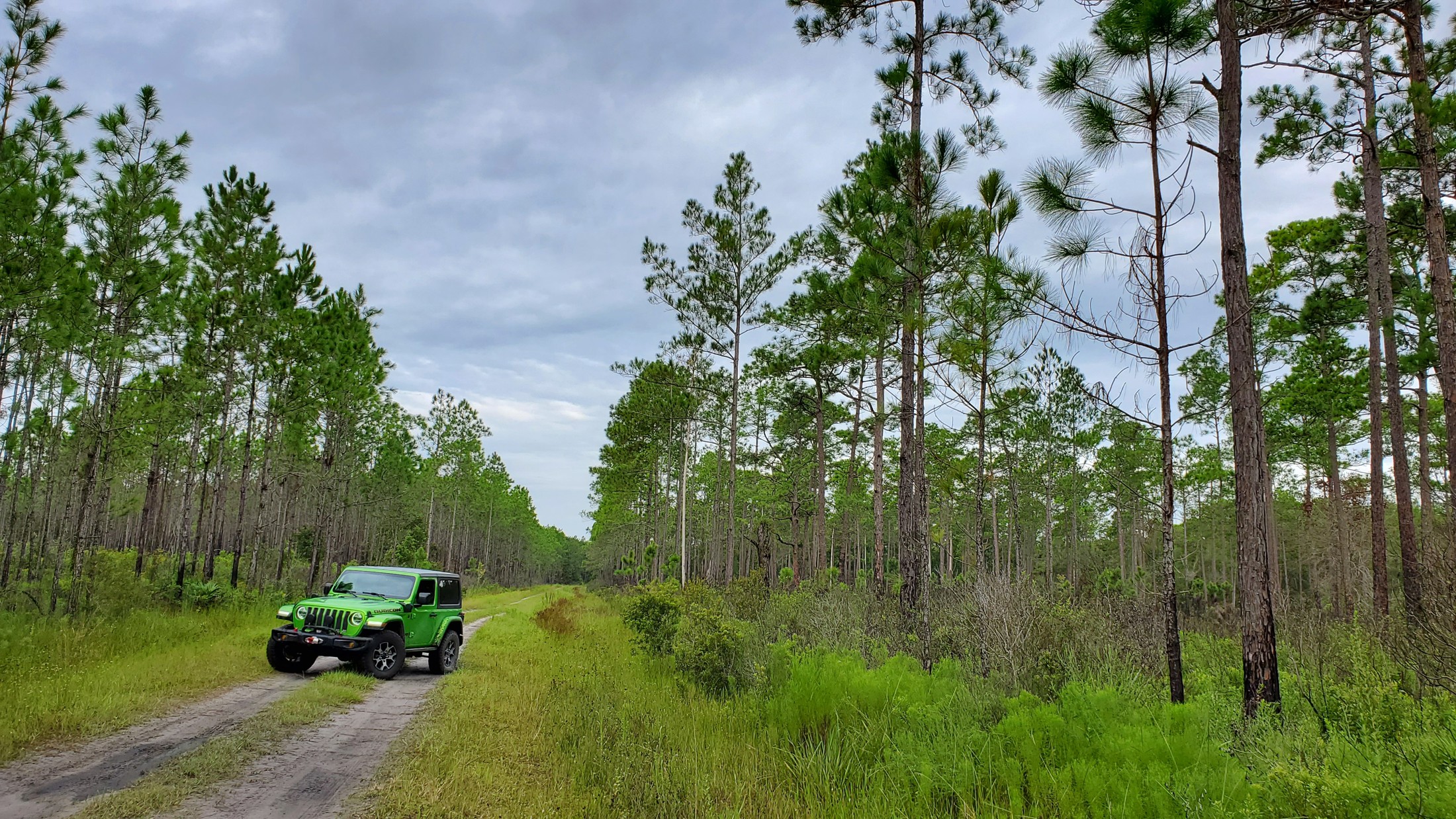Richloam - South Carter Pond Road, Florida | Offroad Trail Guide & Map