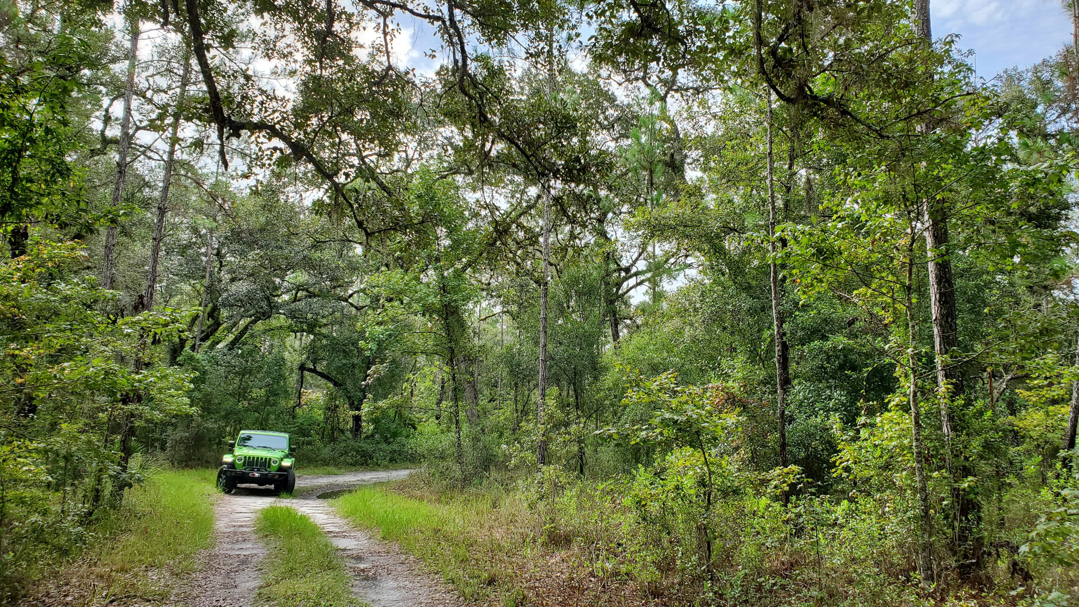 Richloam - Loopy Road, Florida | GPS Map, Photos & Reviews