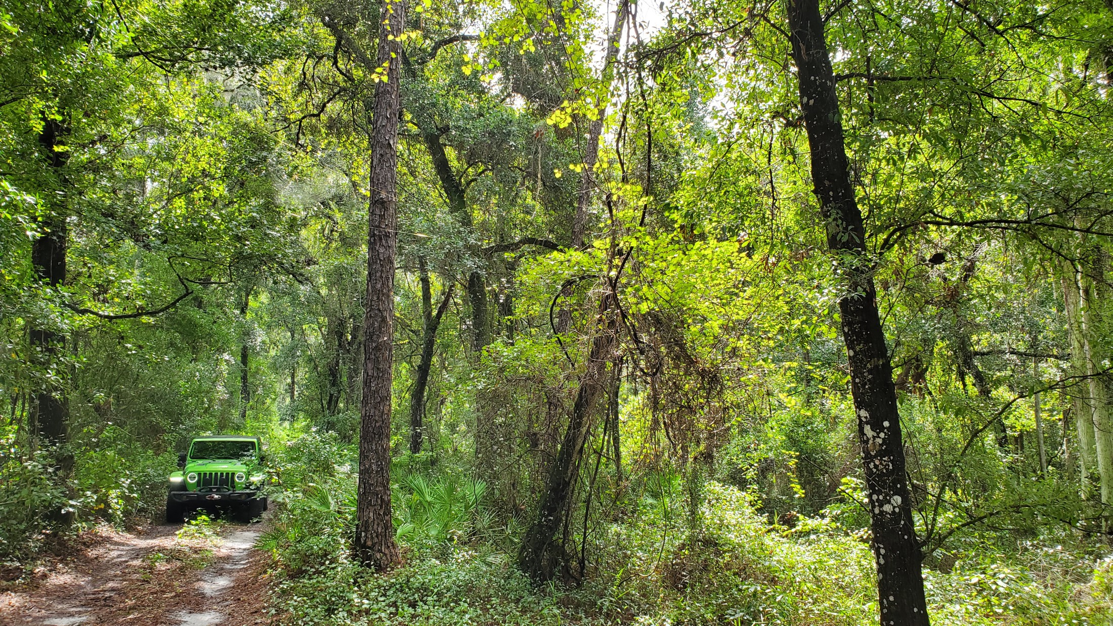 Richloam - North Boundary Road, Florida | Offroad Trail Guide & Map
