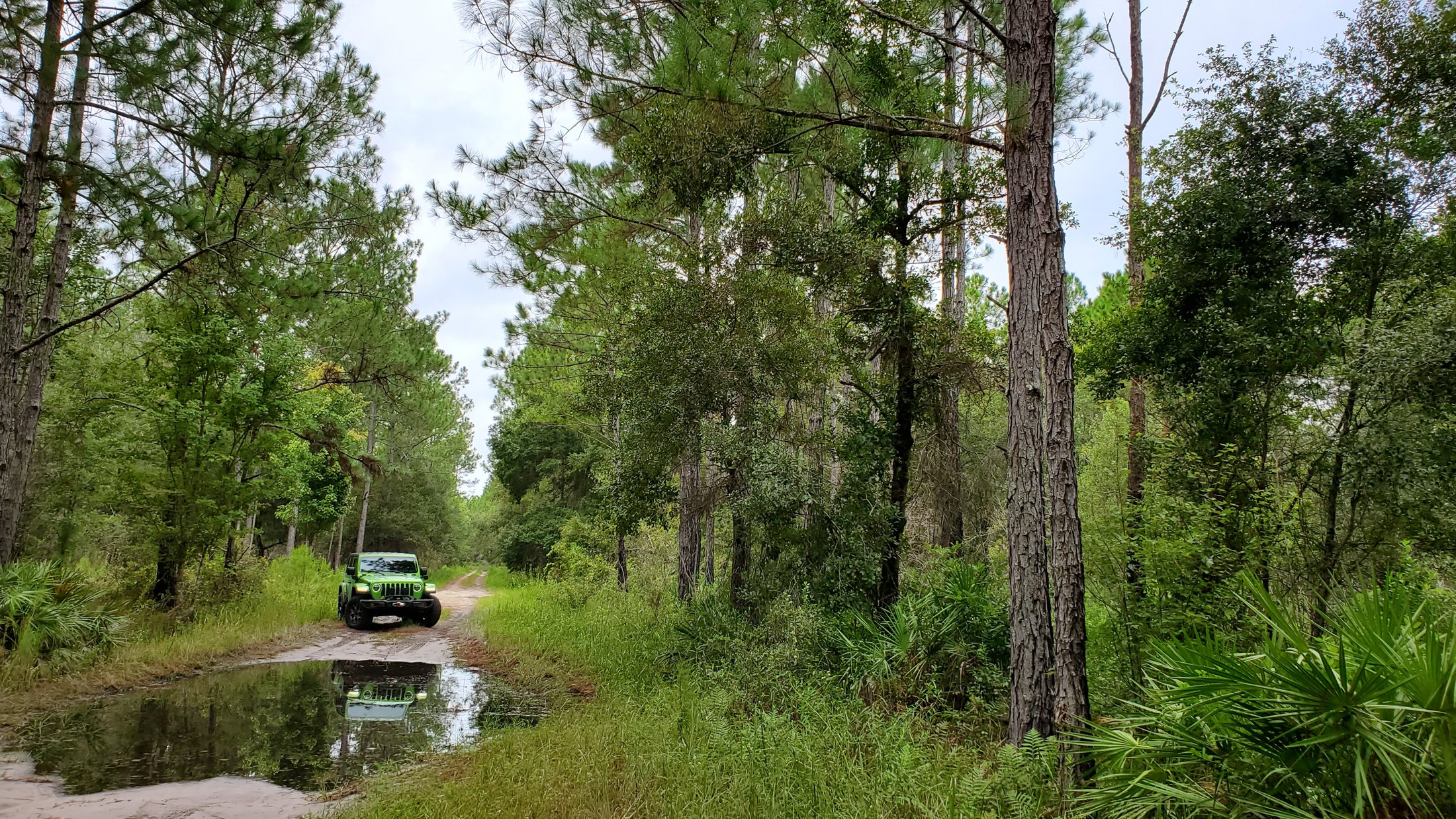 Richloam - Pole Bridge Road, Florida | GPS Map, Photos & Reviews