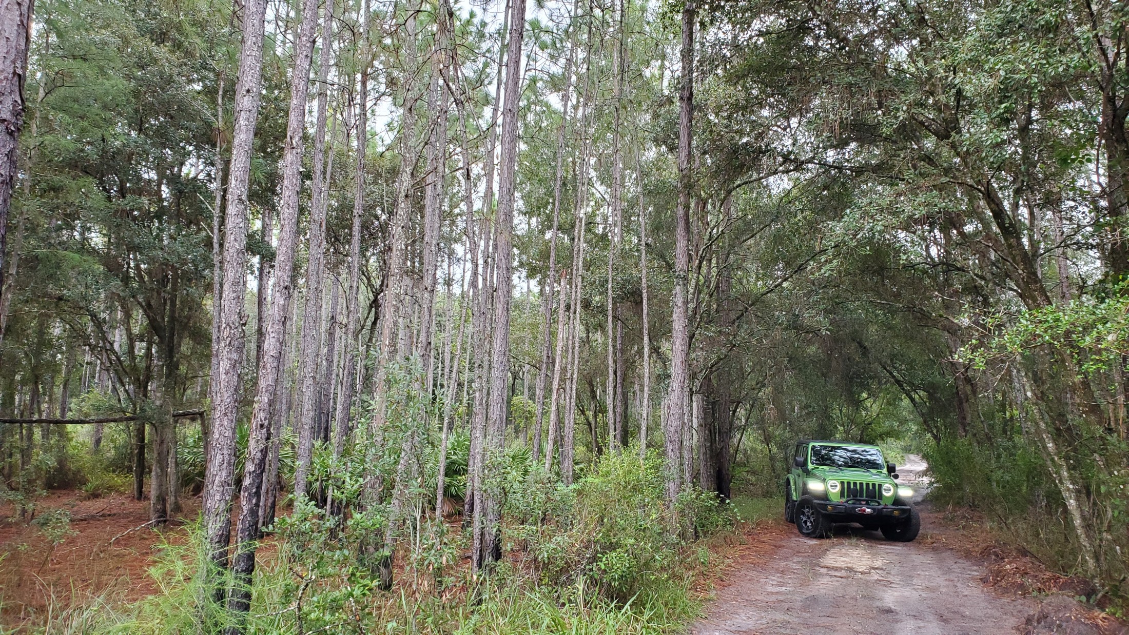 Richloam - Dark Stretch Road, Florida | GPS Map, Photos & Reviews