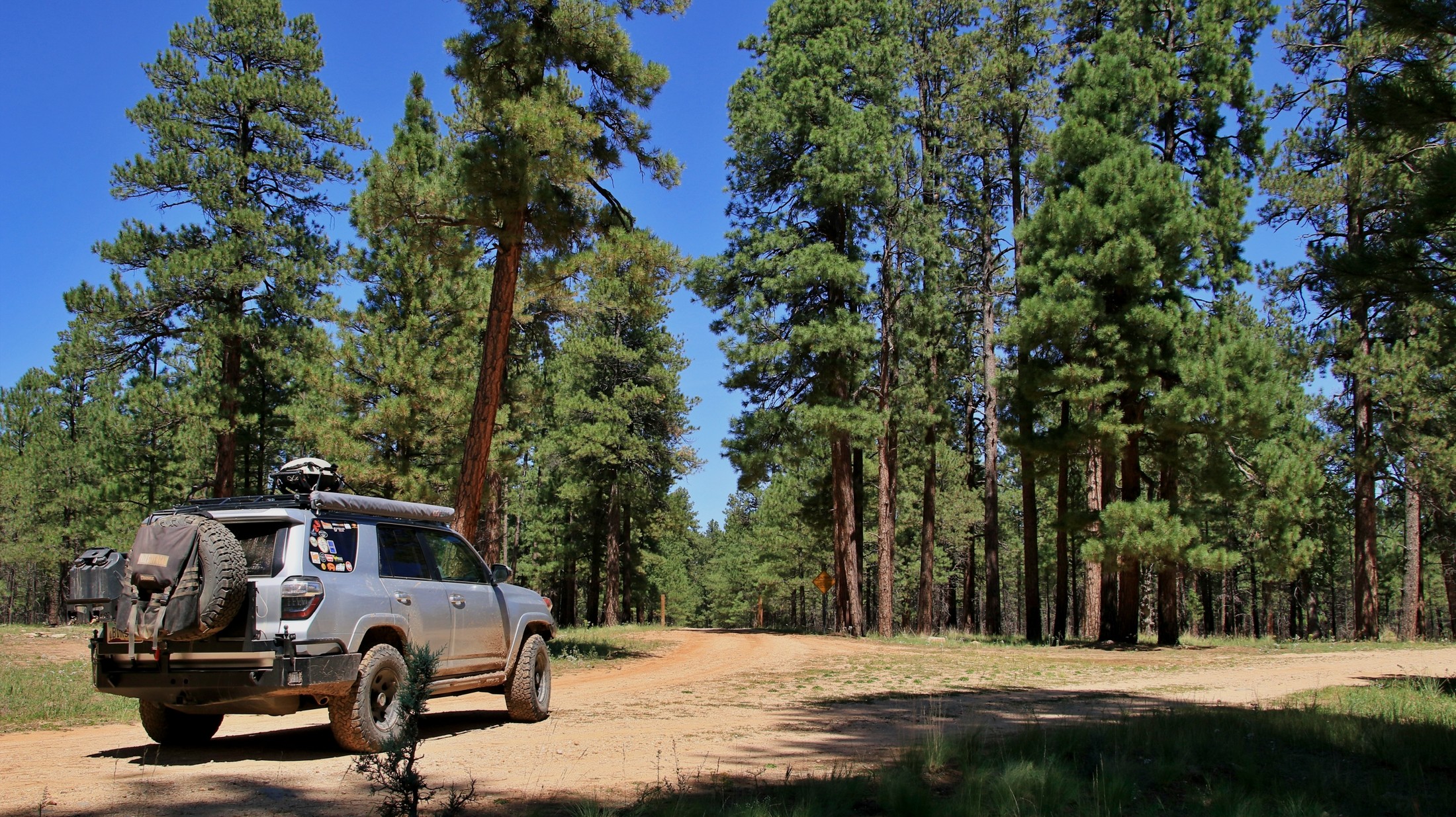 Buck Springs Ridge, Arizona | Offroad Trail Guide & Map