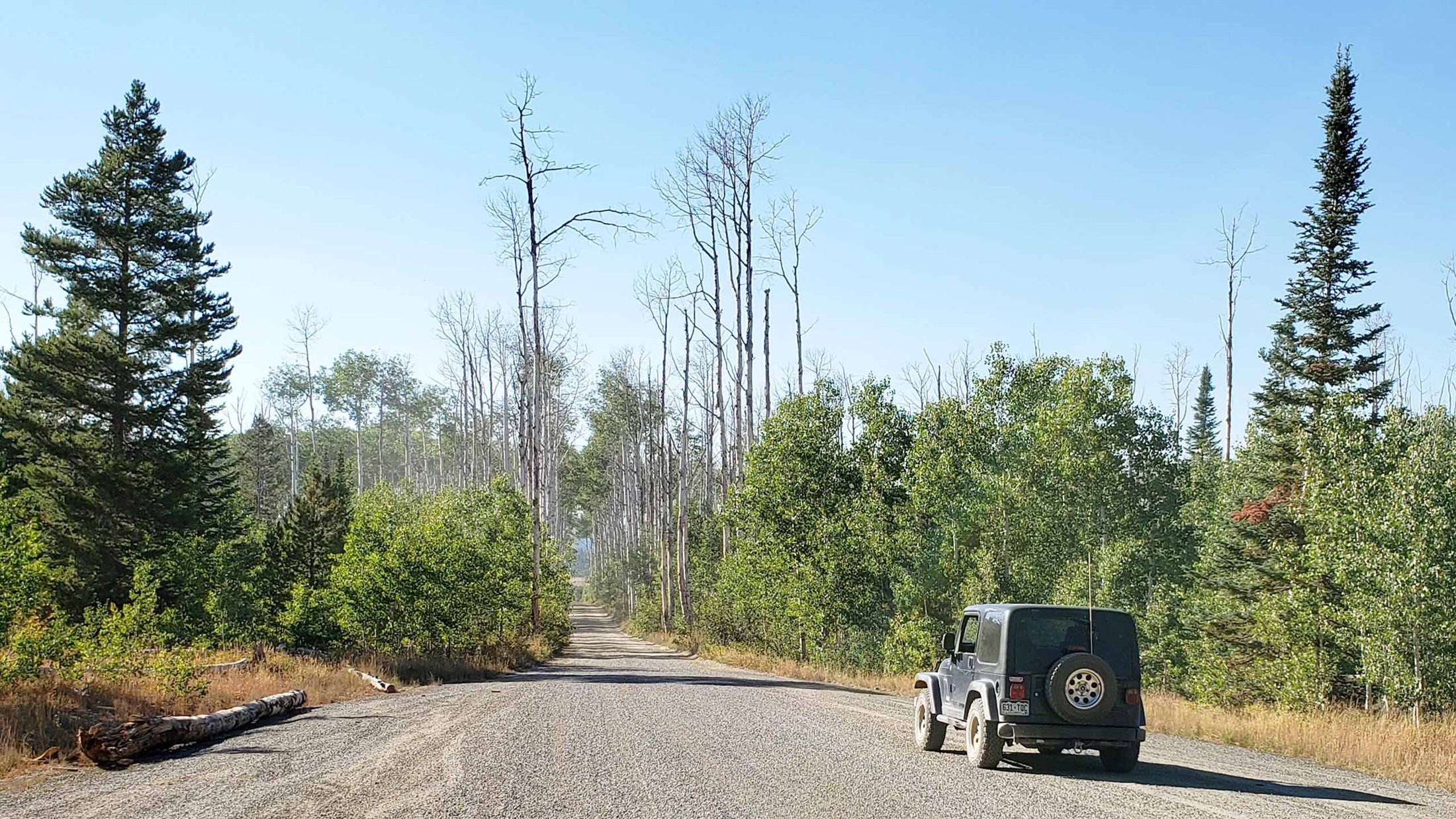 Deep Creek Road (Aspen Alley), Wyoming | GPS Map, Photos & Reviews