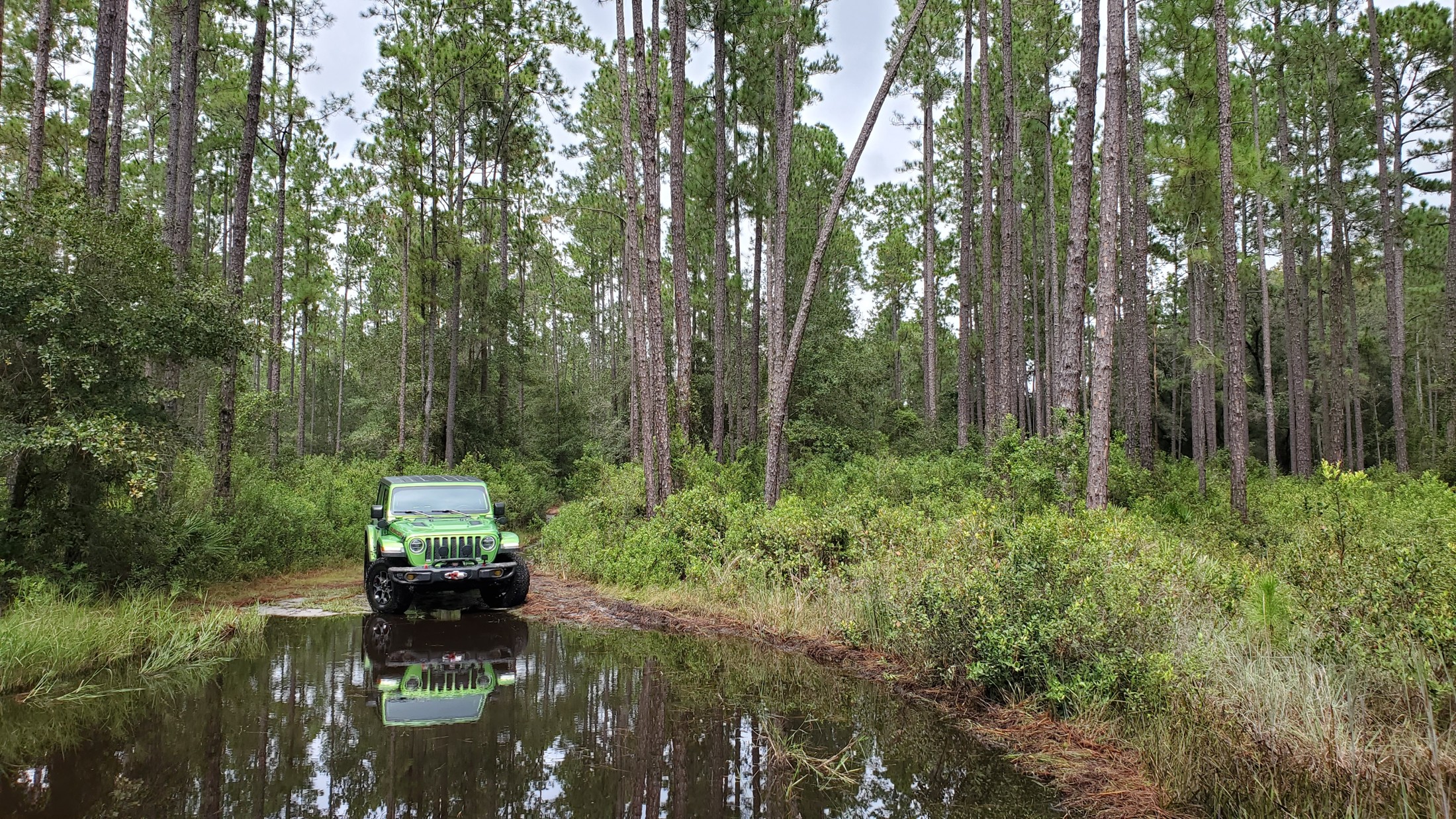 Richloam - Forest Road 21, Florida | GPS Map, Photos & Reviews