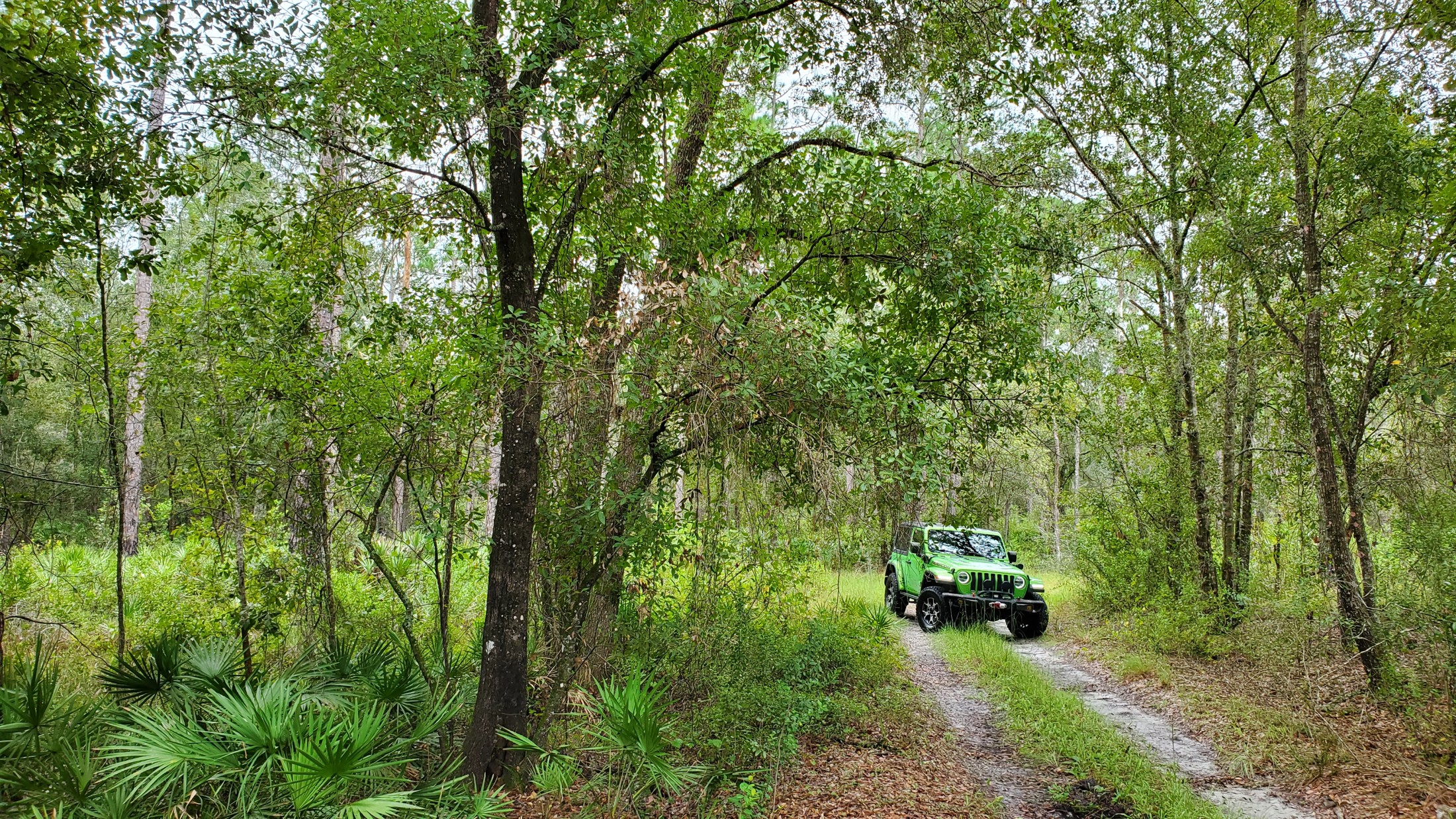 Richloam - Little Raulerson Road, Florida | Offroad Trail Guide & Map
