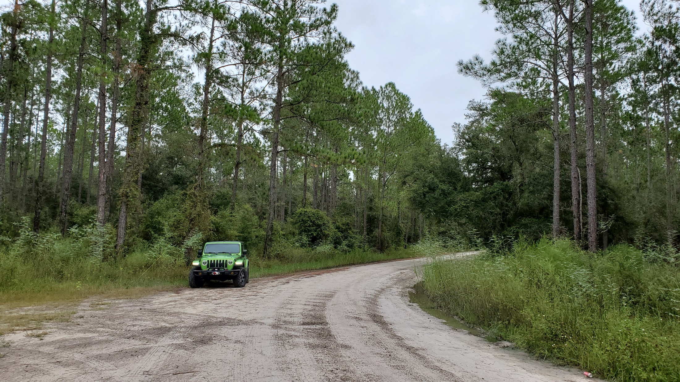 Richloam - Meg's Hole Road, Florida | Offroad Trail Guide & Map