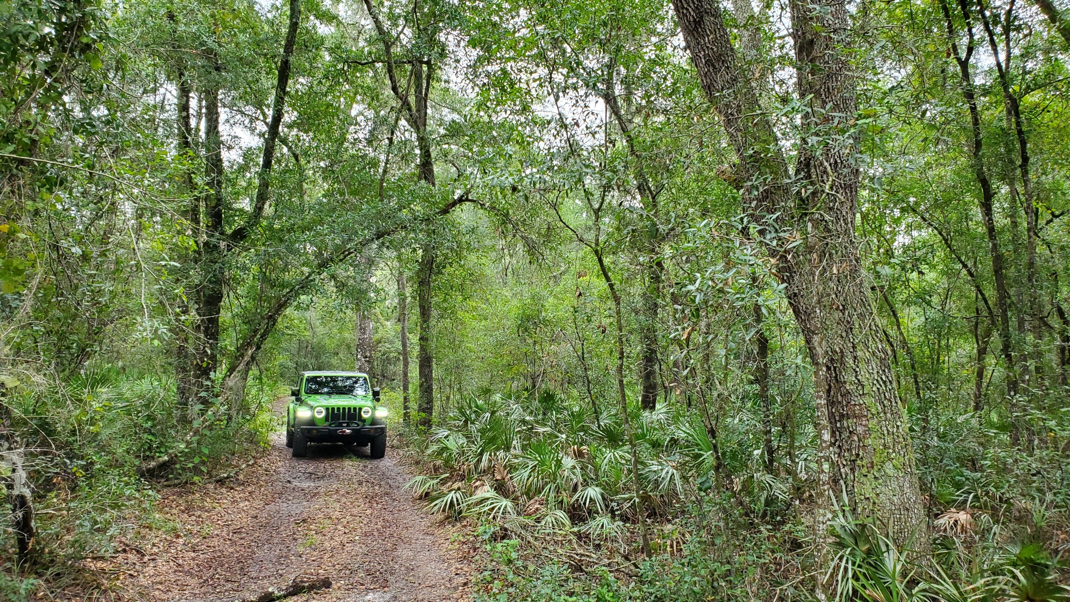 Richloam - Short Road, Florida | Offroad Trail Guide & Map