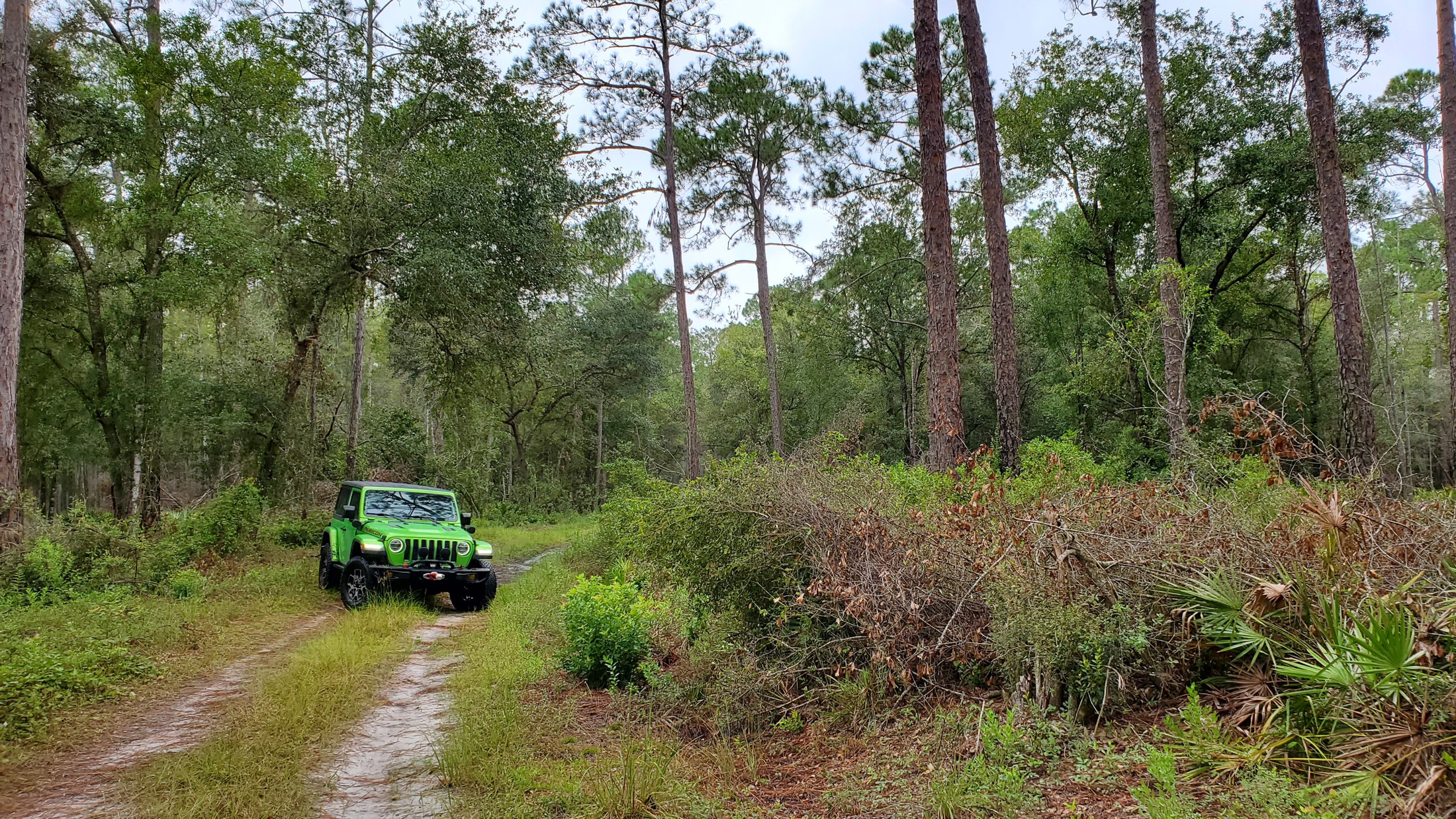 Richloam - Titus Strip Road, Florida | Offroad Trail Guide & Map