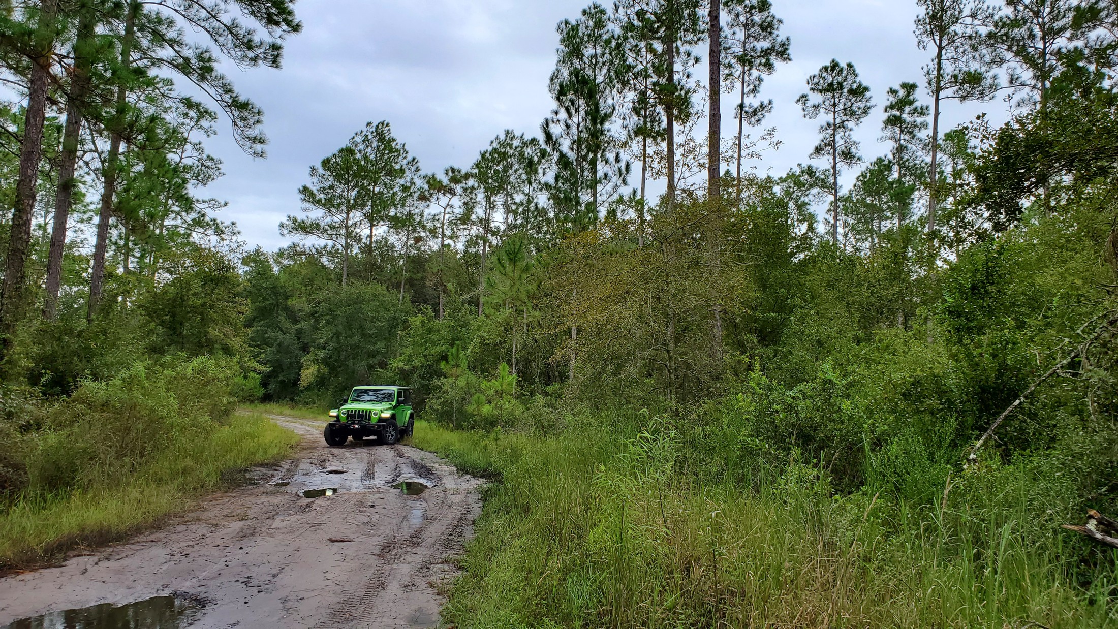 Richloam - School Bus Road, Florida | Offroad Trail Guide & Map
