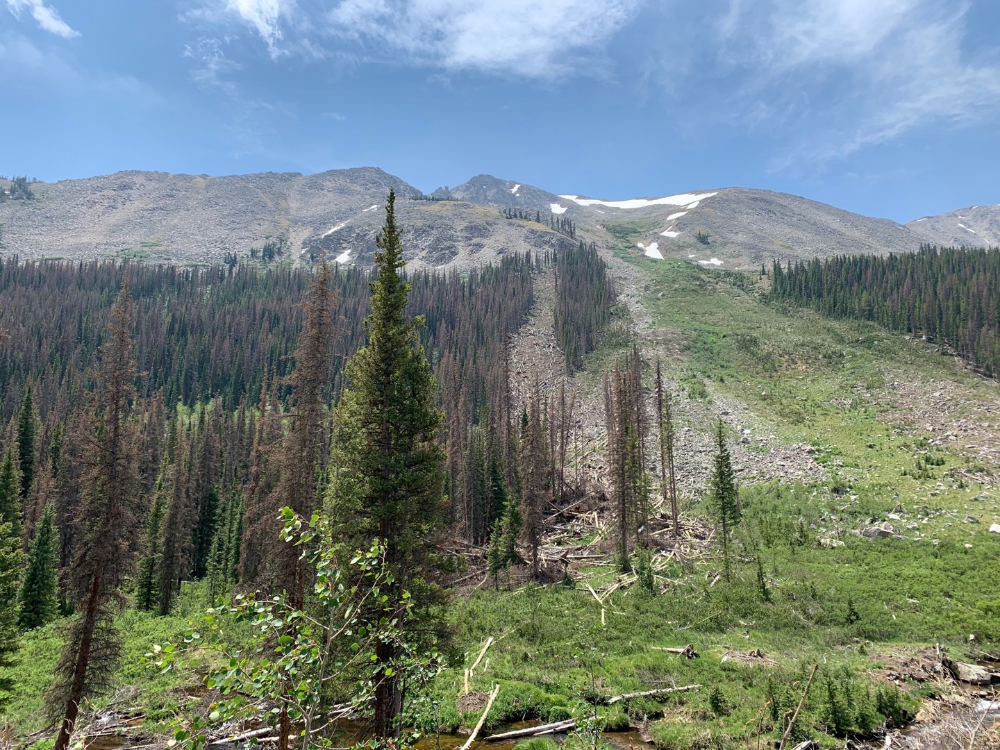 Tincup Pass - Colorado Offroad Trail