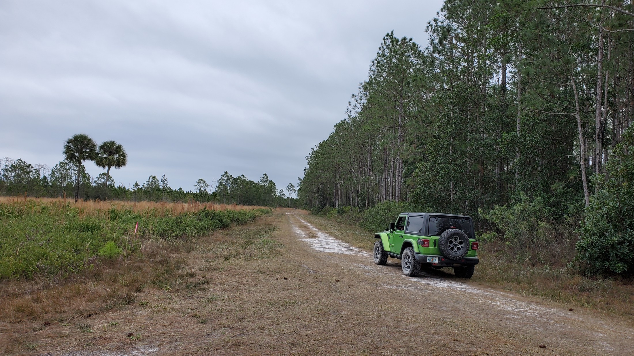 Tiger Bay State Forest - Bennett Field Road, Florida | GPS Map, Photos ...