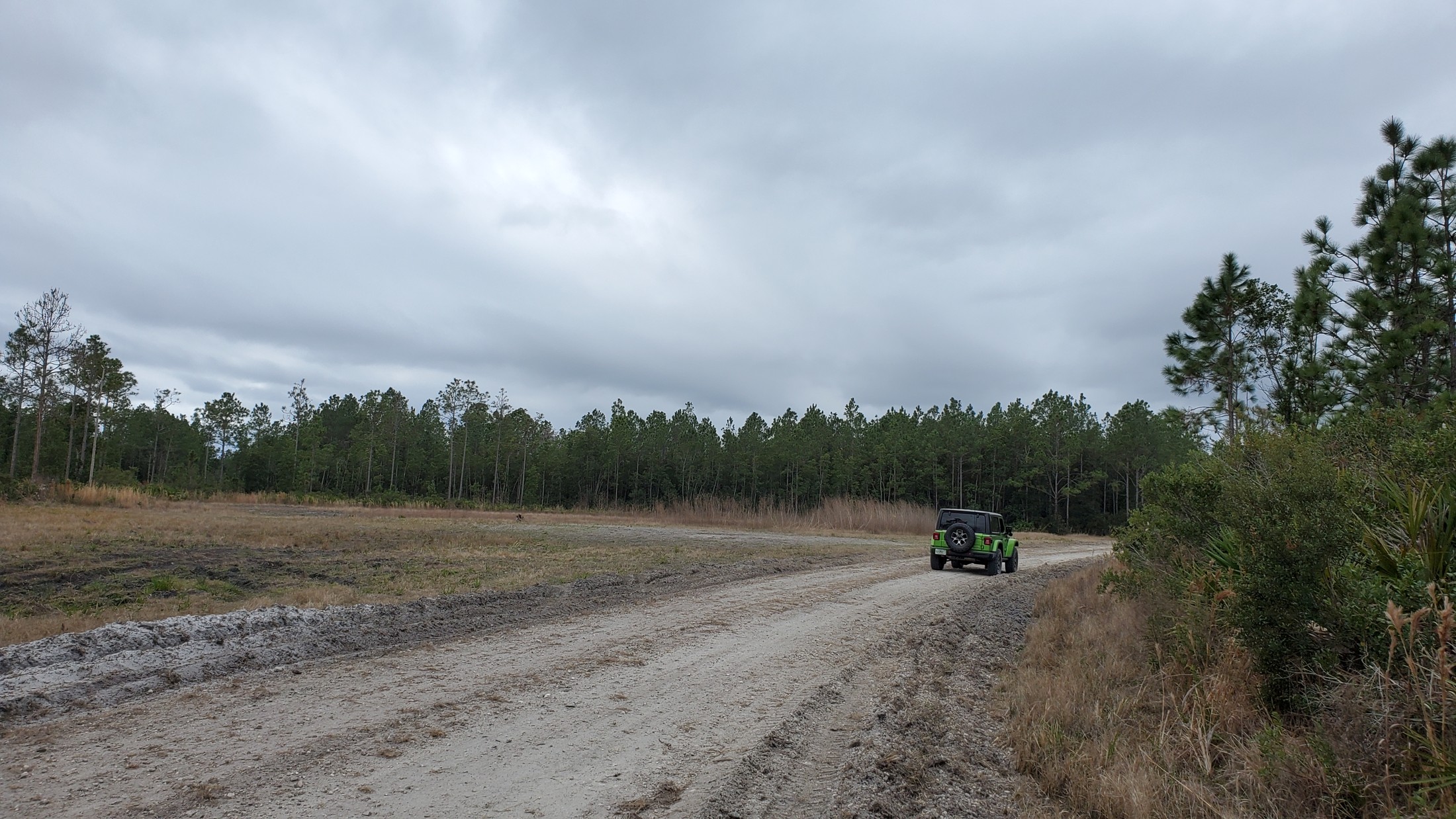 Tiger Bay State Forest - Danny Hole Road, Florida | GPS Map, Photos ...