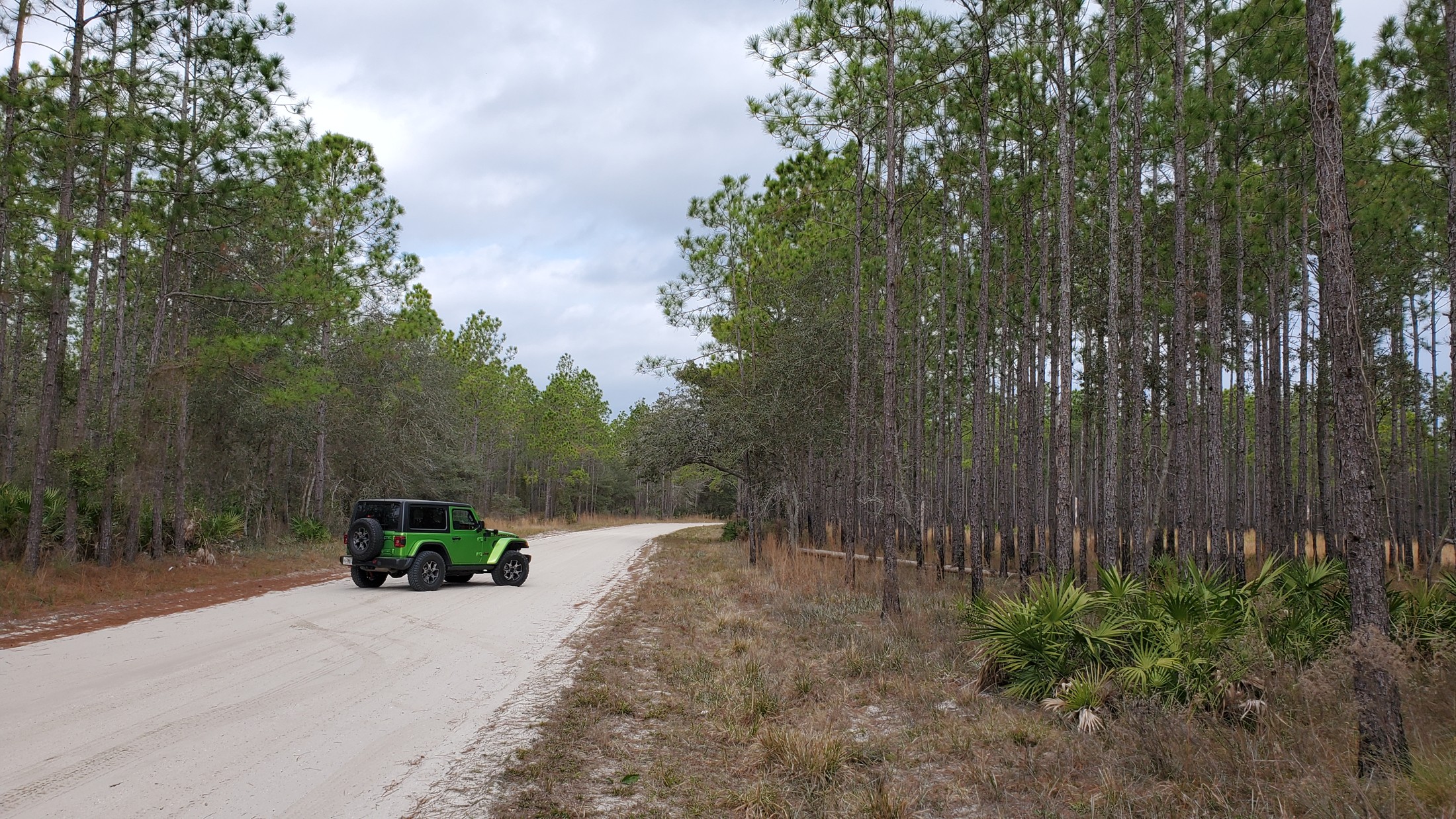 Tiger Bay State Forest - Rima Ridge Road, Florida | GPS Map, Photos ...