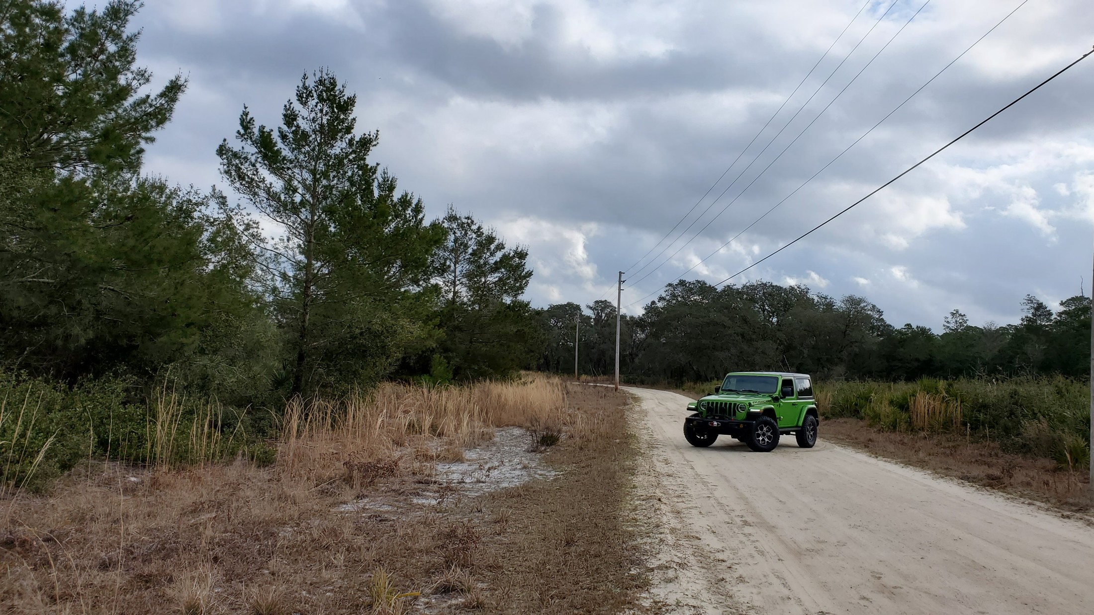 Tiger Bay State Forest - Wildlife Drive, Florida | GPS Map, Photos ...