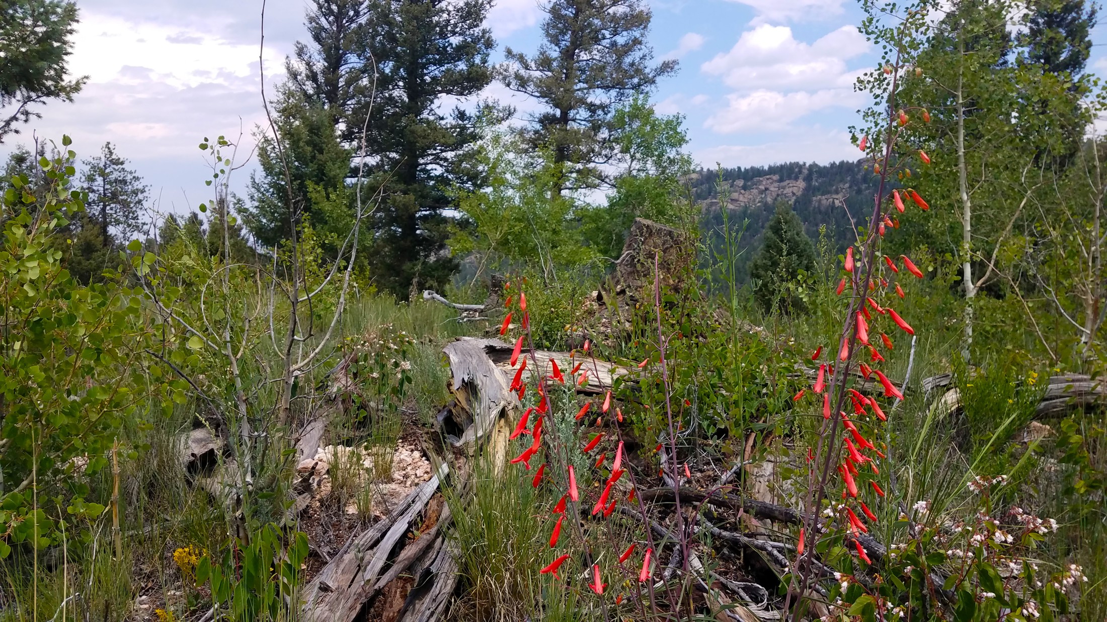 Great View, Colorado | Offroad Trail Guide & Map