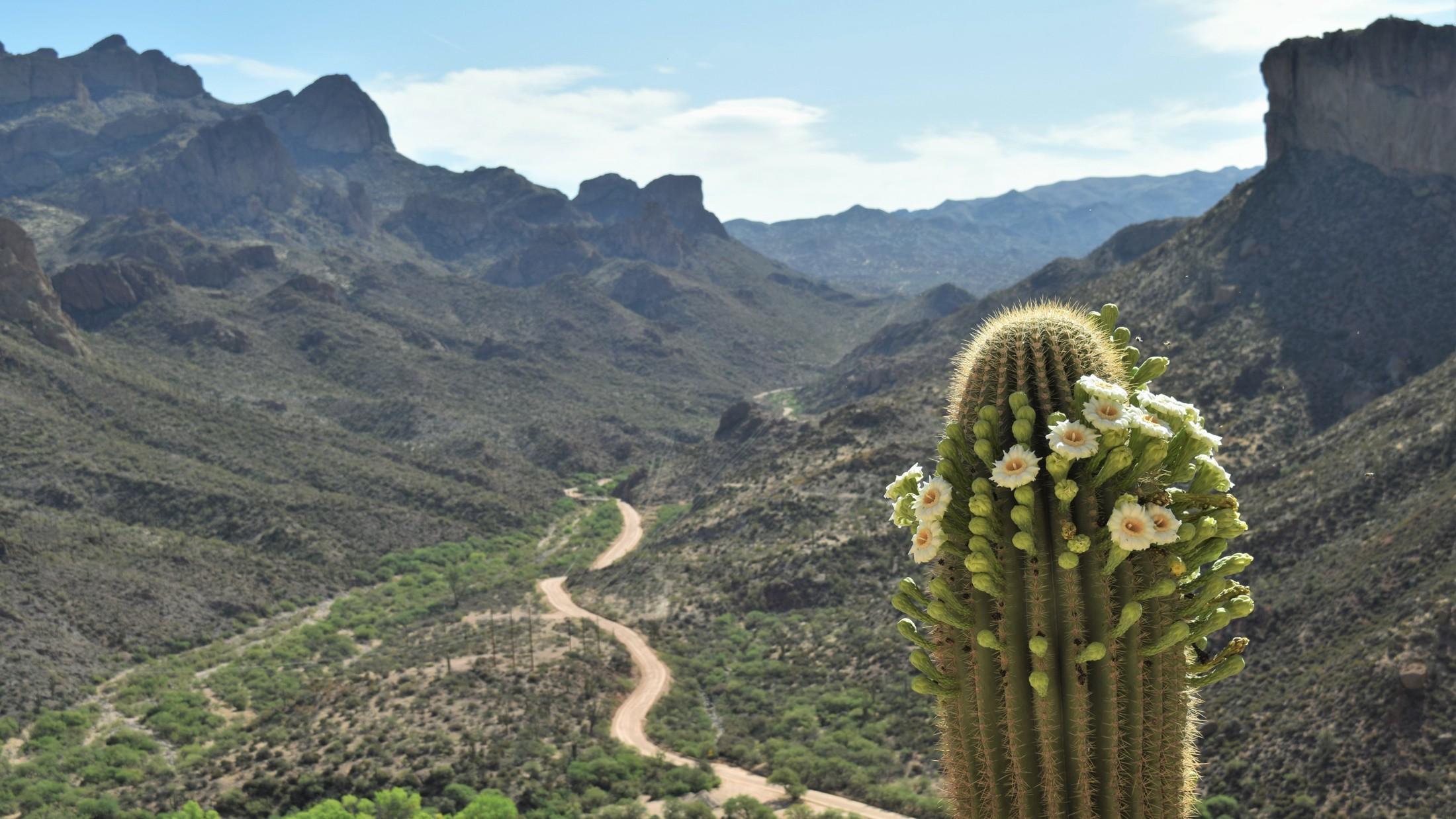 Apache Trail, Arizona | Offroad Trail Guide & Map