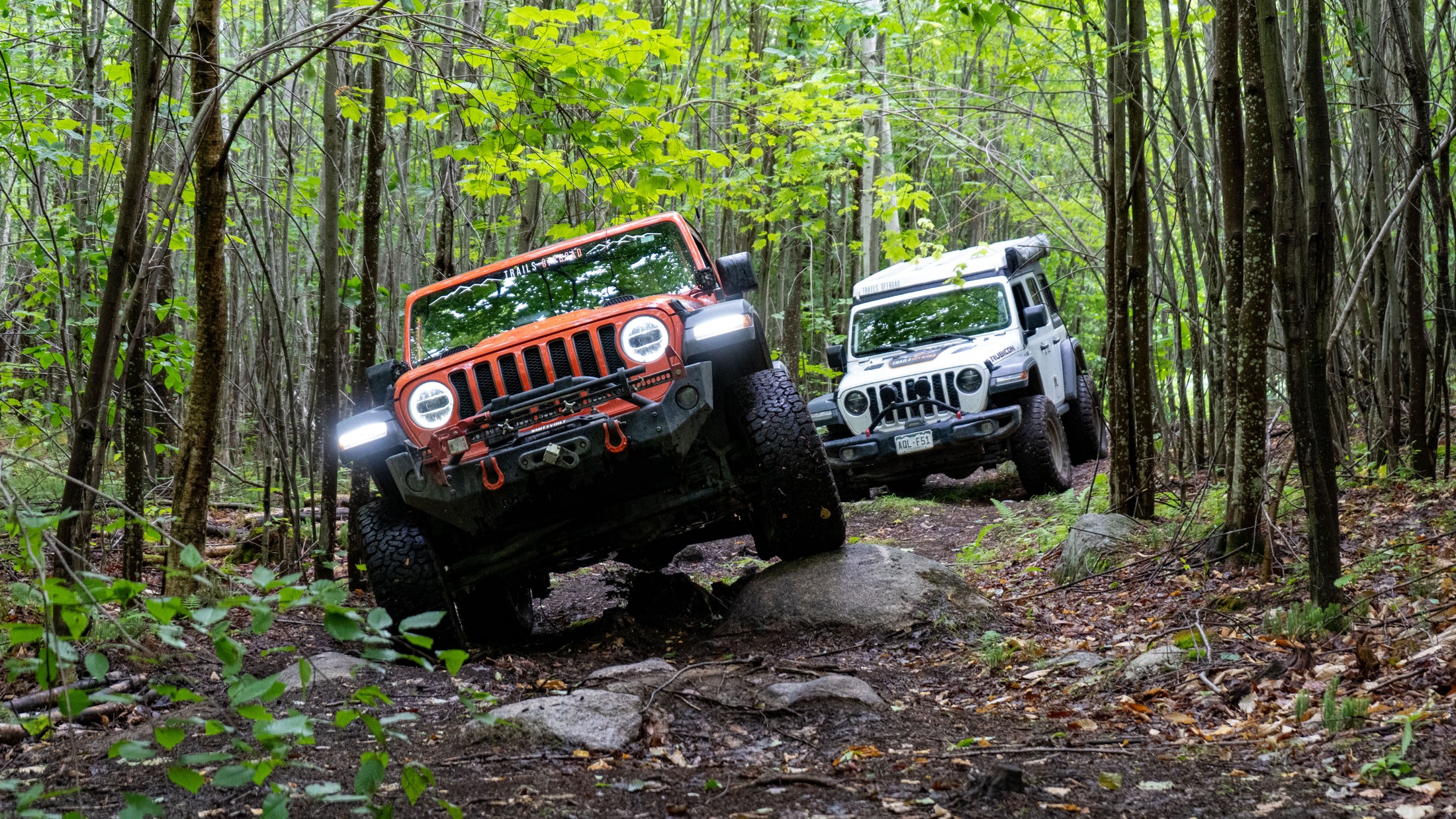 Jericho Mountain Green Trail - East, New Hampshire | GPS Map, Photos ...