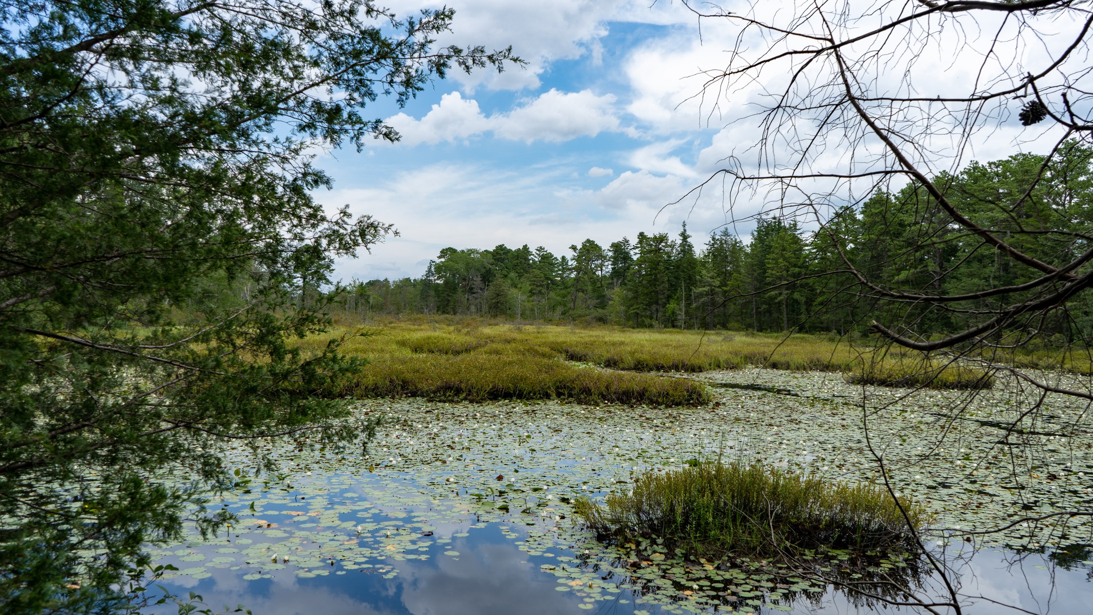 Maxwell Friendship Road, New Jersey | GPS Map, Photos & Reviews