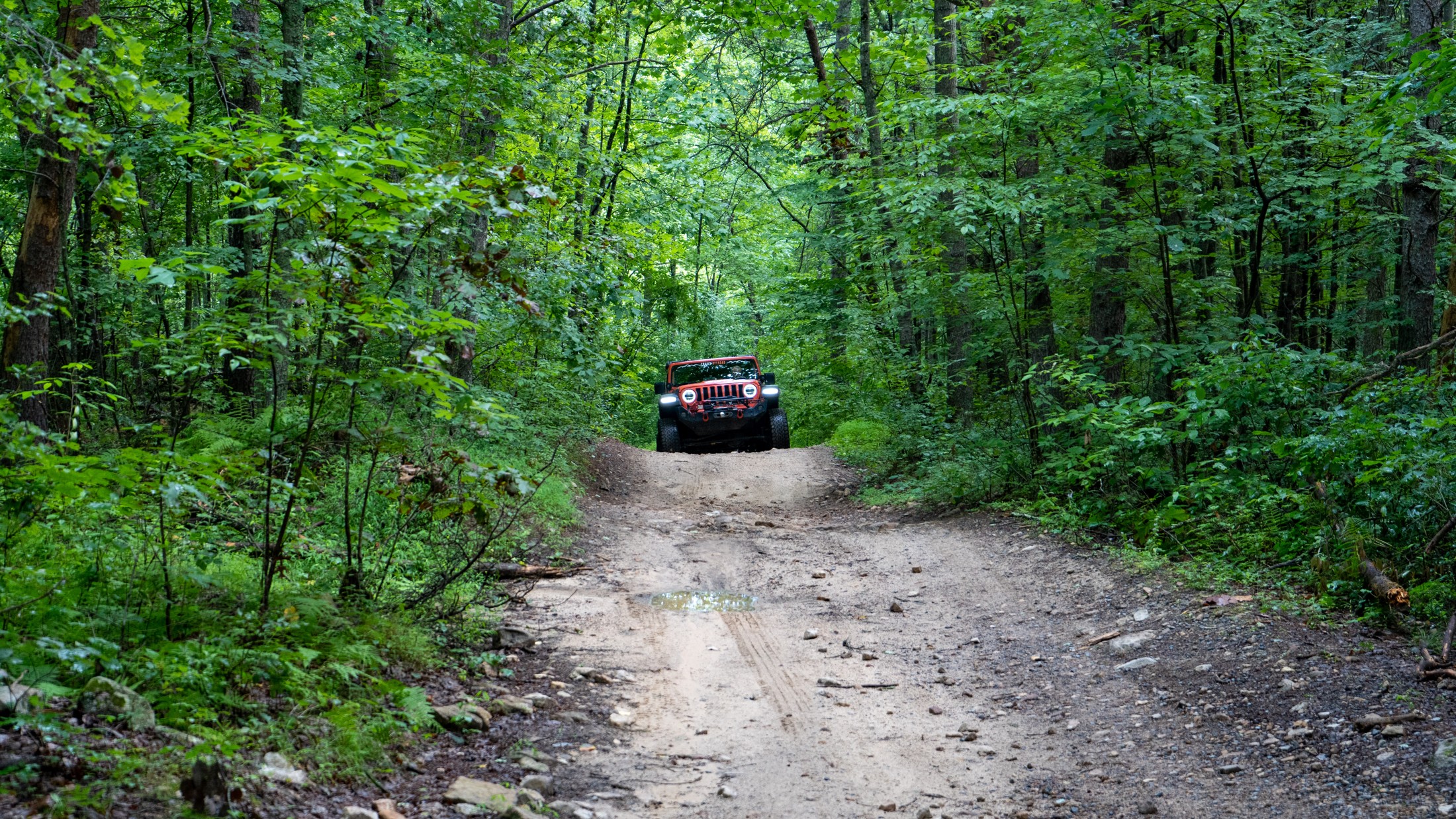 Peters Mill Run, Virginia | GPS Map, Photos & Reviews