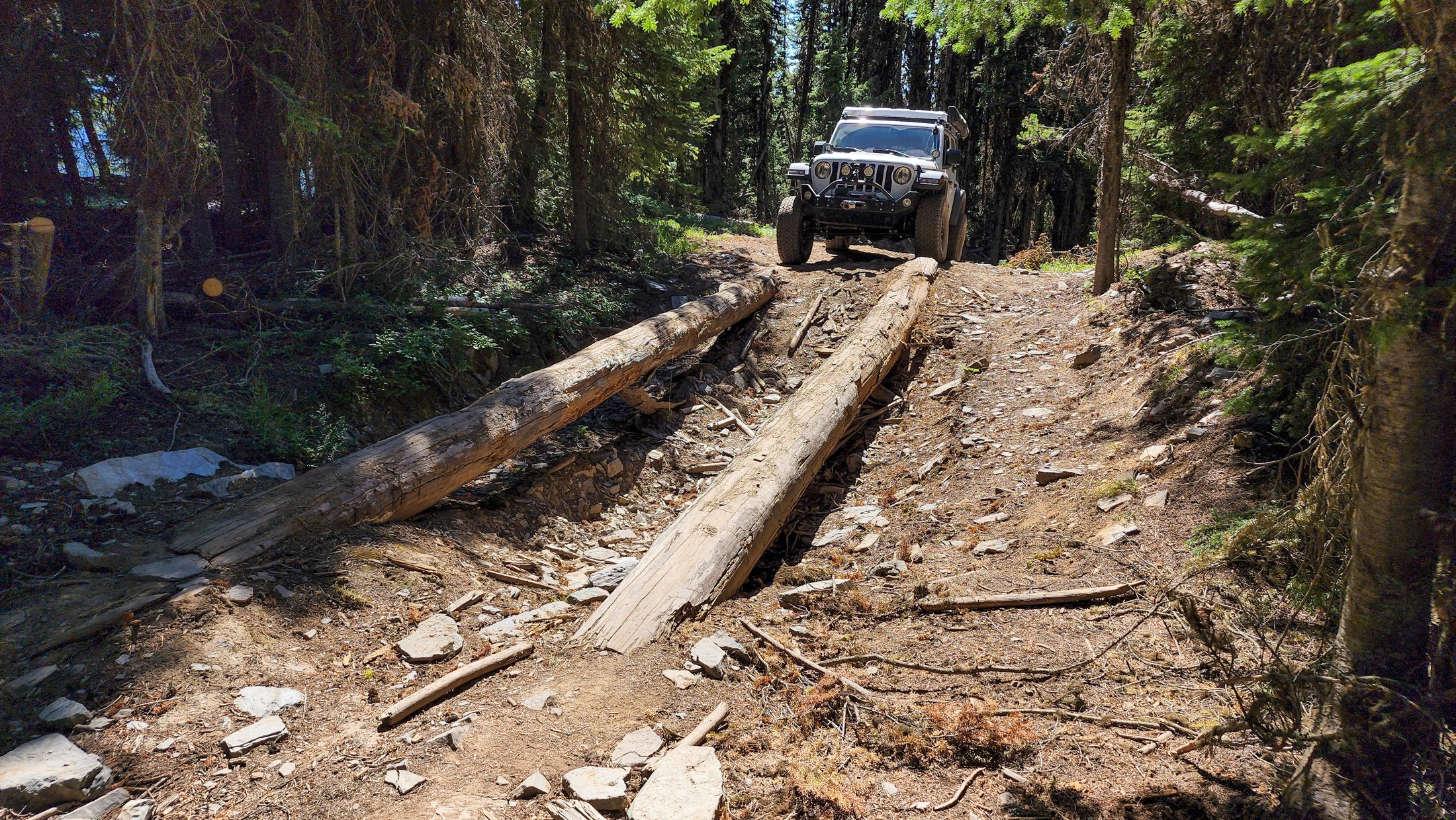 Upper Dayton Creek OHV Trail aka Blacktail-Wild Bill ORV Trail System ...