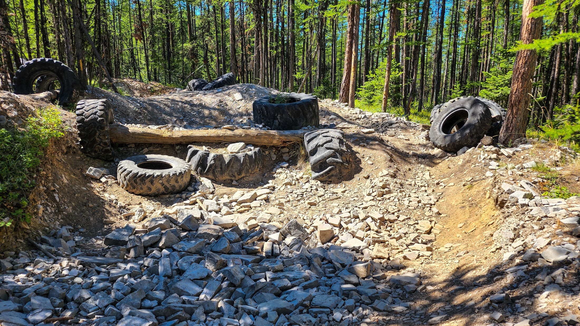 Wild Bill - Eagle Mountain Trail aka Blacktail-Wild Bill ORV Trail ...